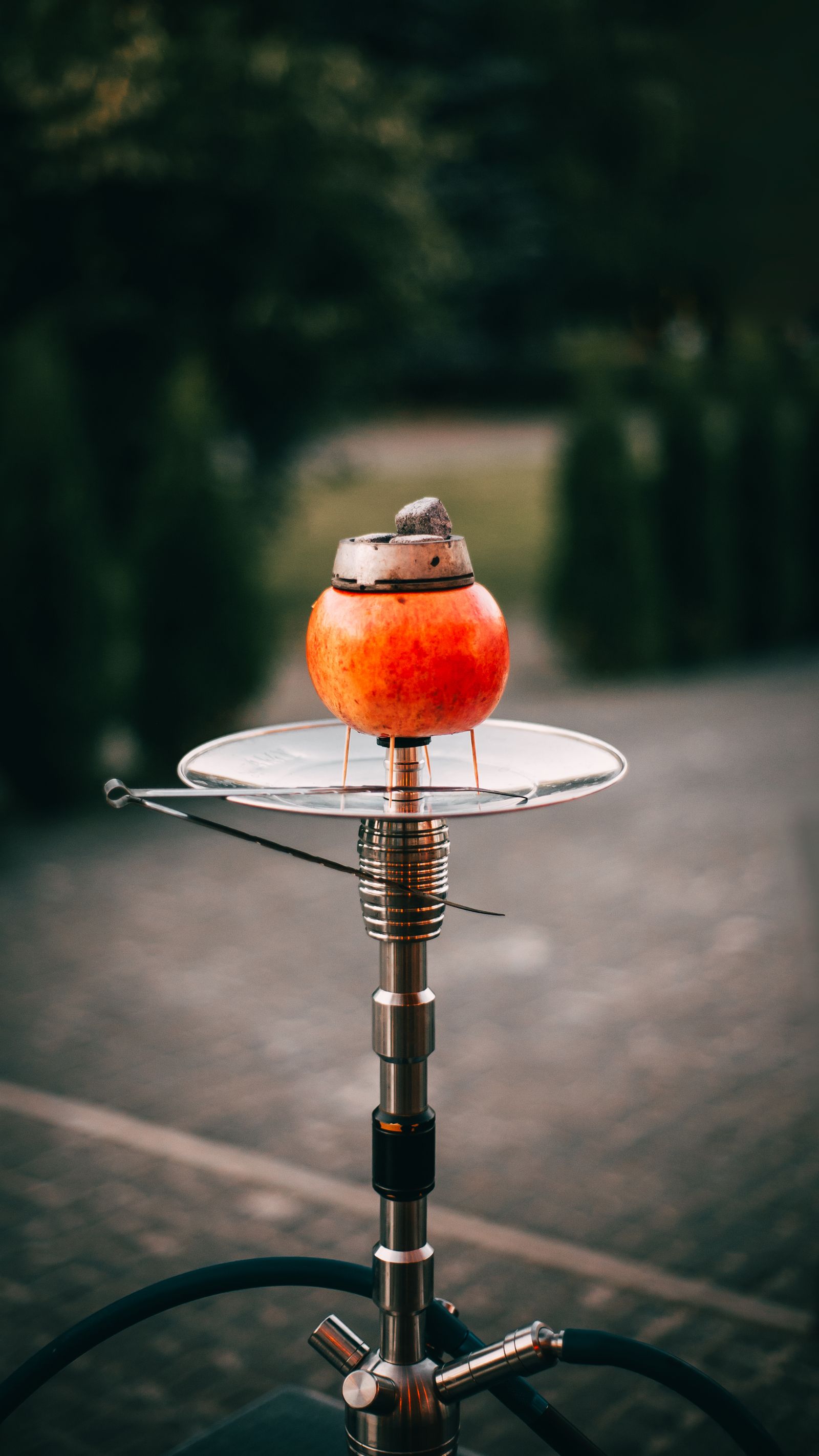 Hookah Pipe Photos, Download The BEST Free Hookah Pipe Stock Photos ...