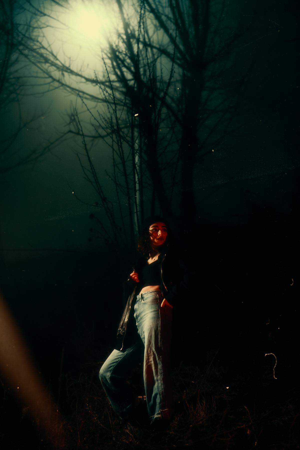 Eerie Night Forest Photos, Download The BEST Free Eerie Night Forest ...