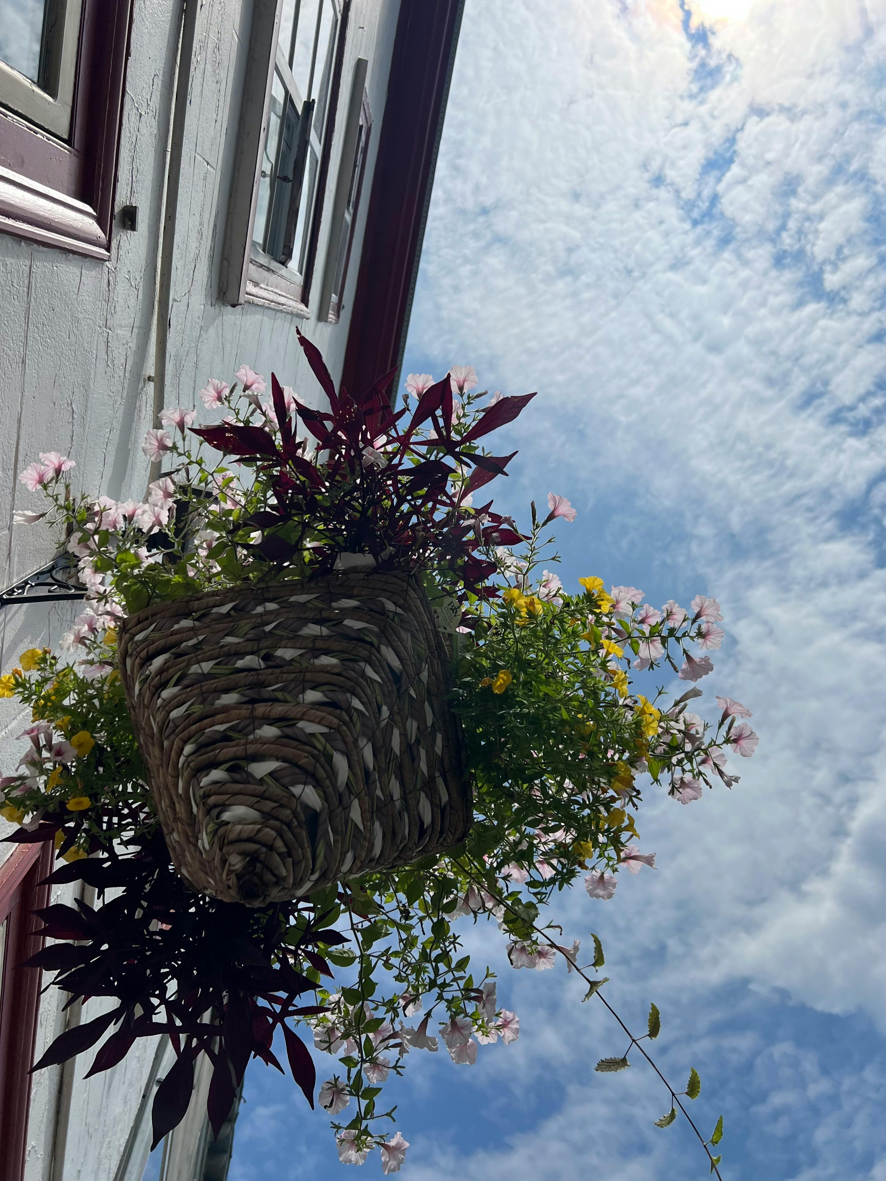 Teju — Фотография