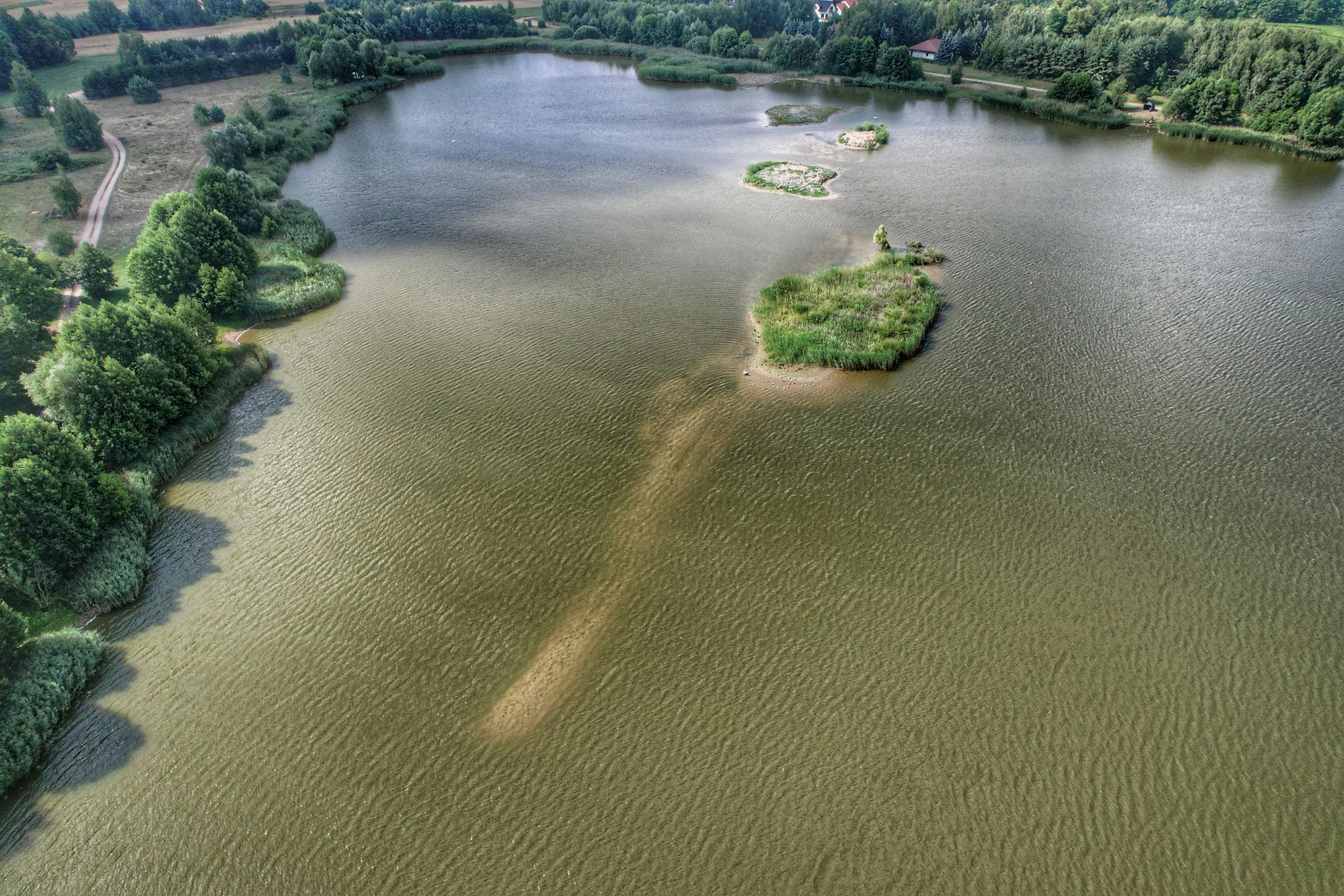 Bird Eye View of Small Islets and Sandbank in a Lake · Free Stock Photo