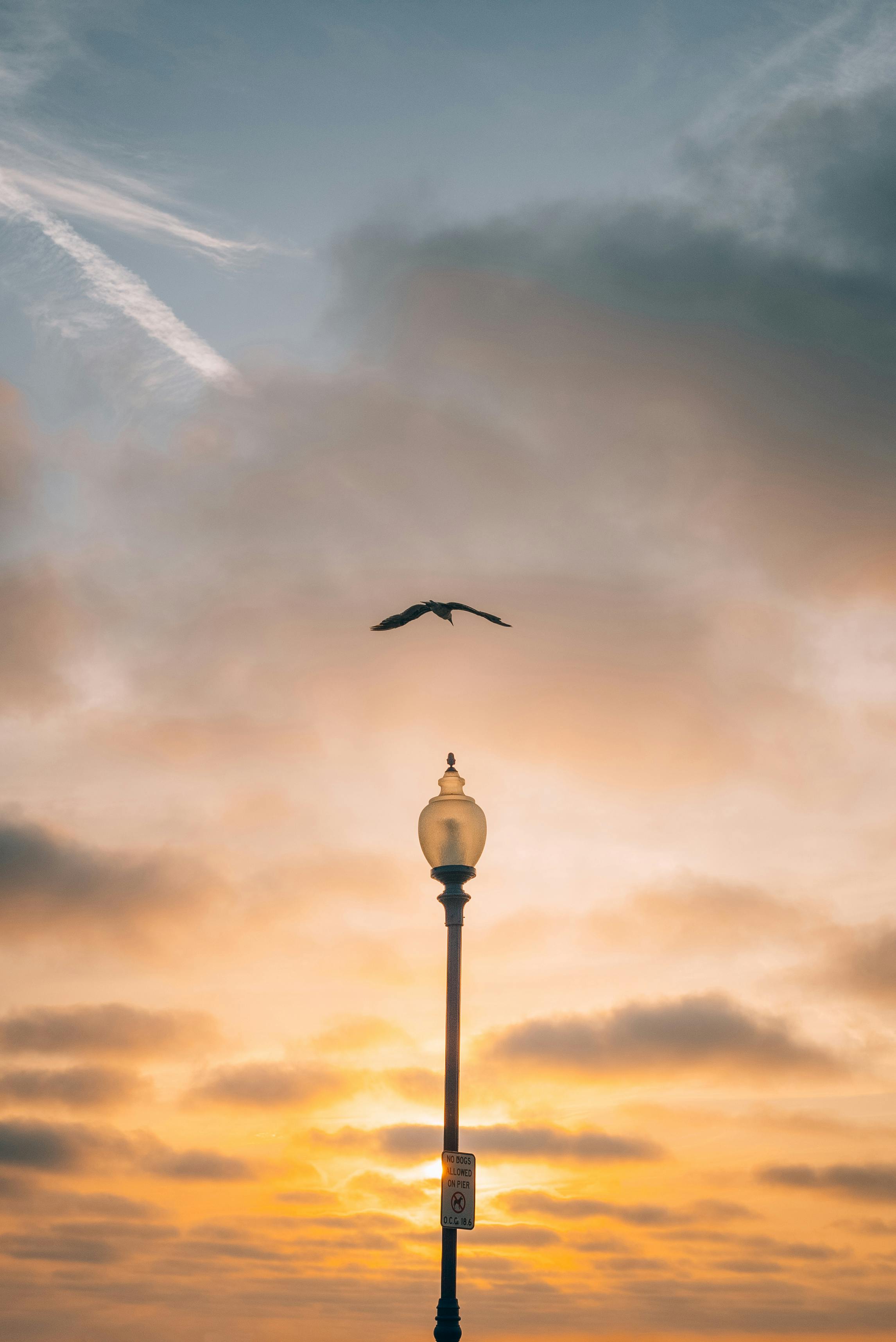 Vector Cloud Photos, Download The BEST Free Vector Cloud Stock Photos ...