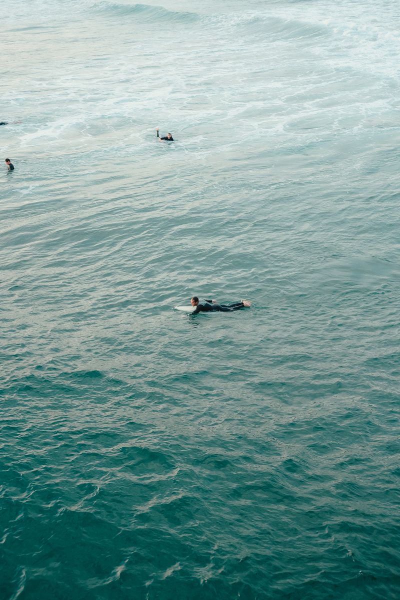 Surf Building Photos, Download The BEST Free Surf Building Stock Photos ...
