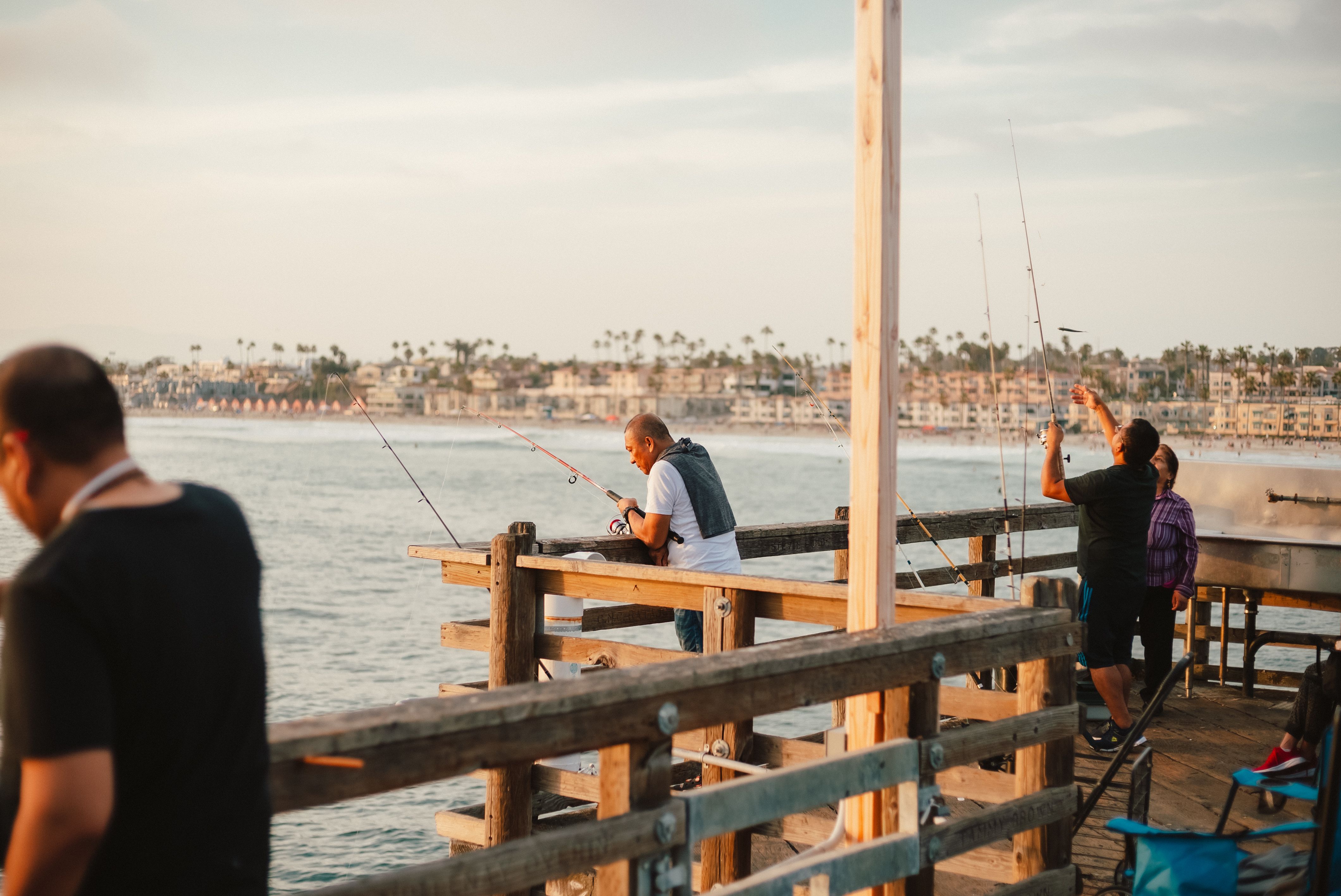 A group of people fishing on a pier · Free Stock Photo