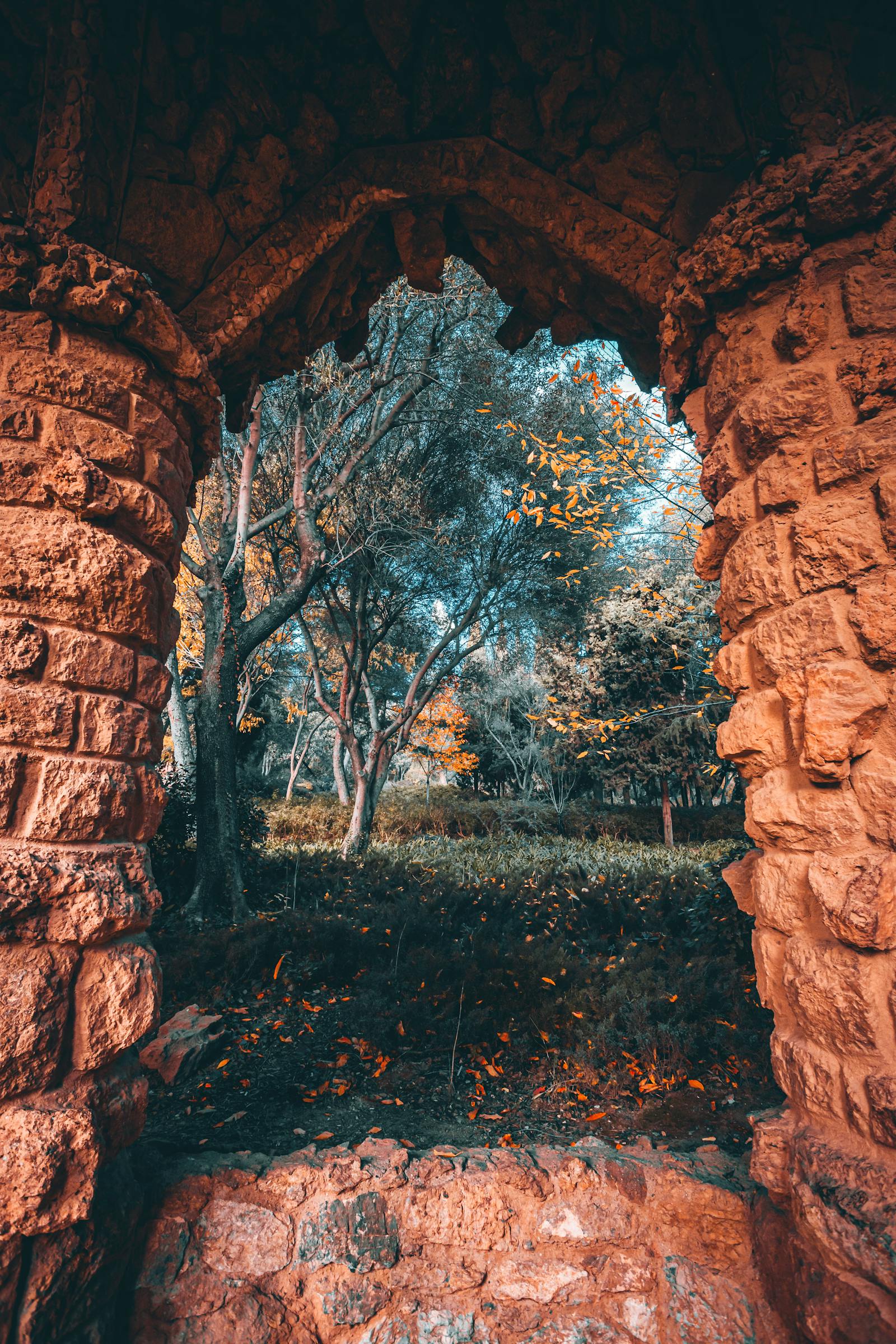 Arch Environment Photos, Download The BEST Free Arch Environment Stock ...