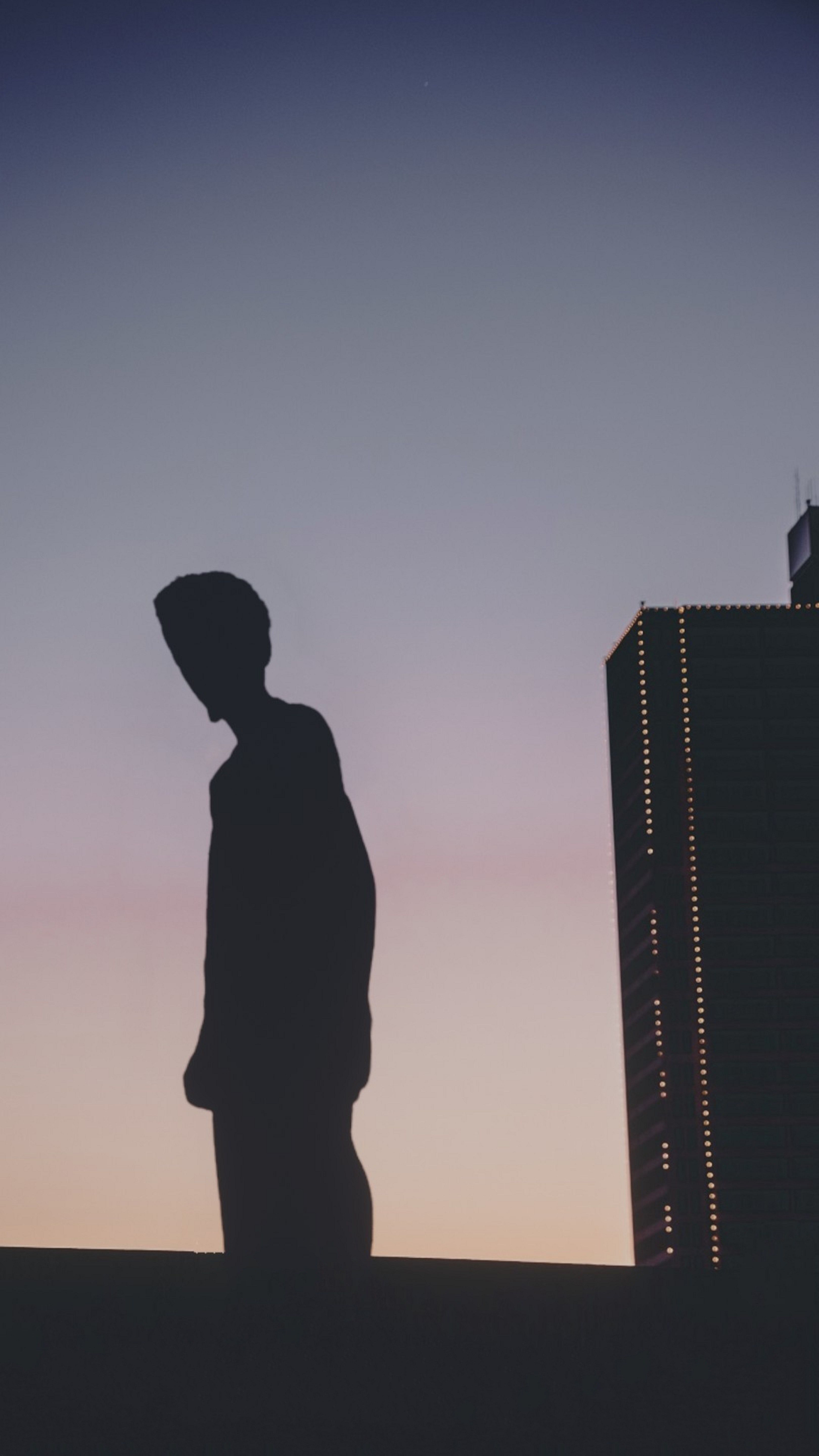 Silhouette of Standing Man at Dusk · Free Stock Photo