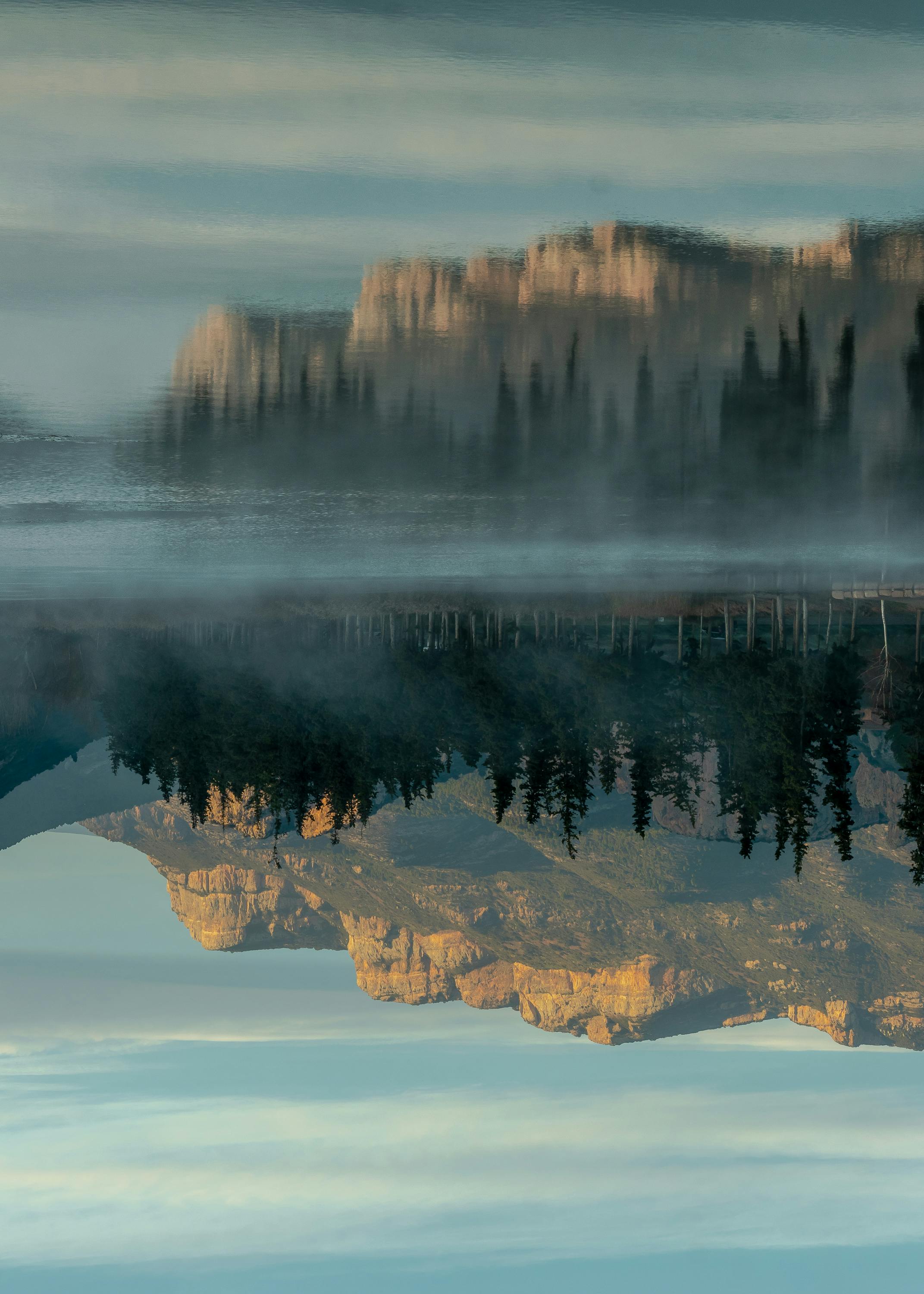 1000+ Great Upside Down Photos Pexels · Free Stock Photos