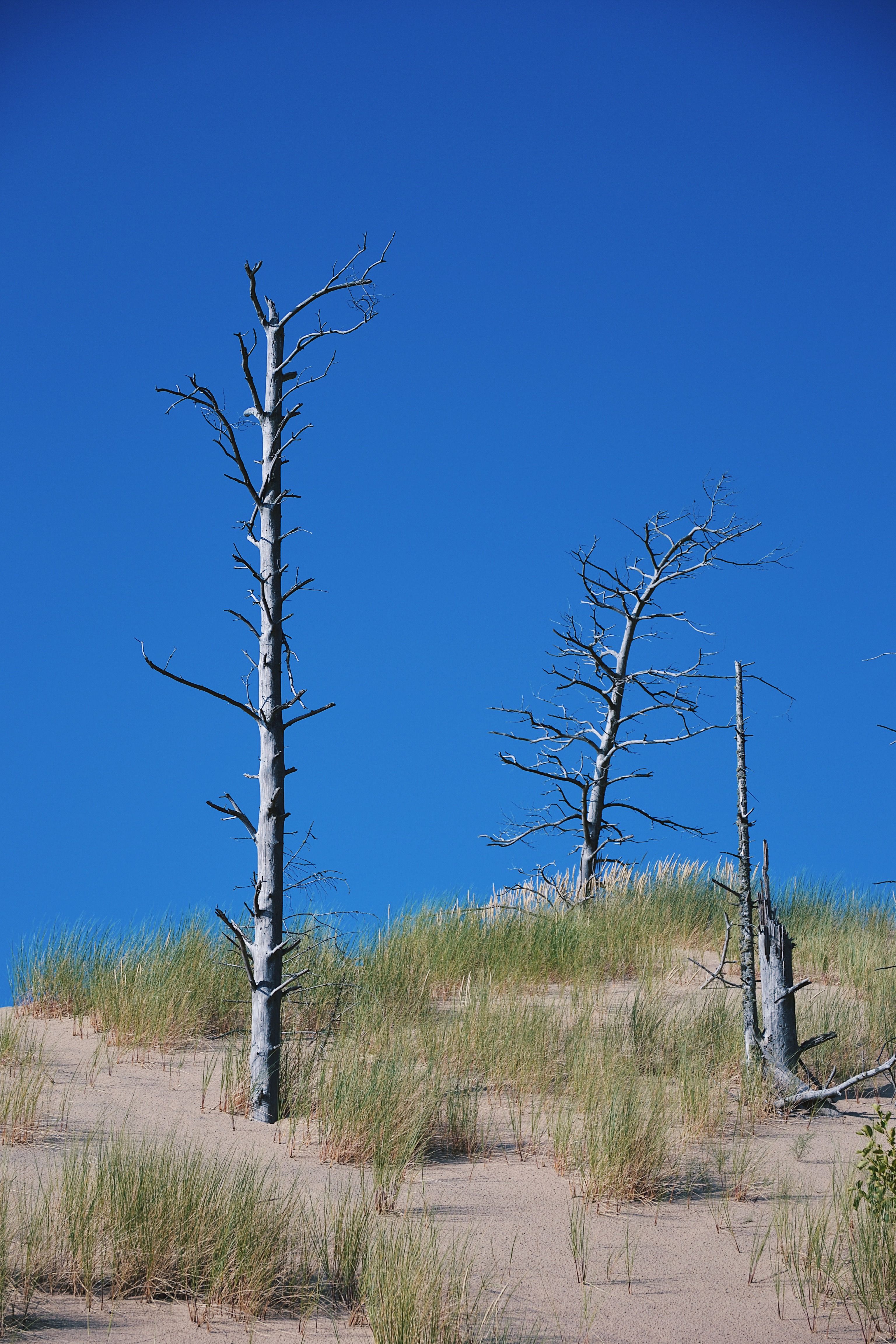 Лучшие фото (3 000+) по запросу «Dunes 및 공» · Скачивайте совершенно ...