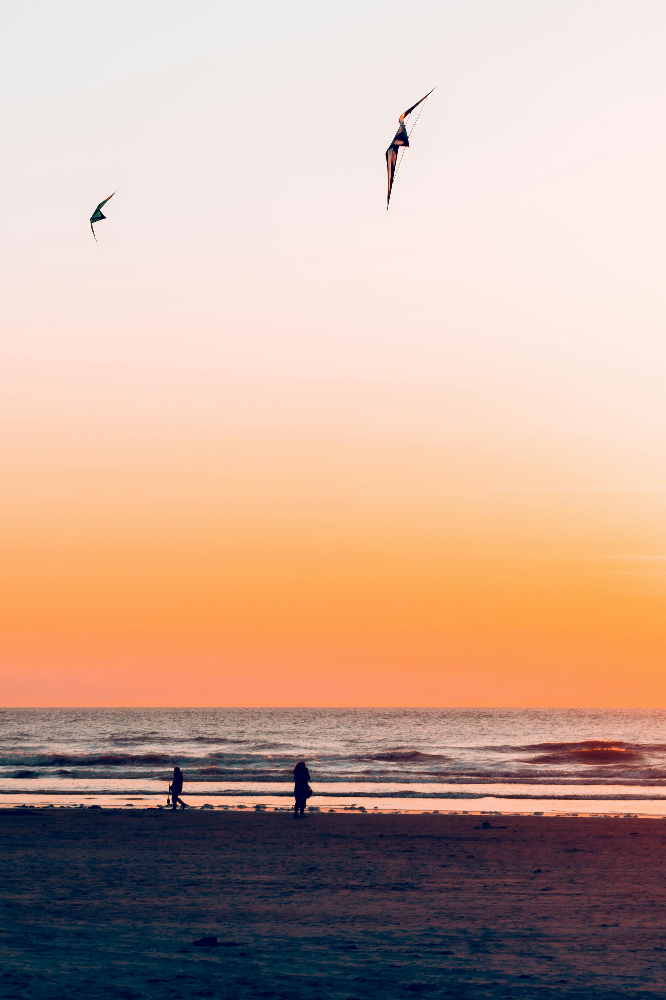 Birds Flying over Beach at Sunset · Free Stock Photo
