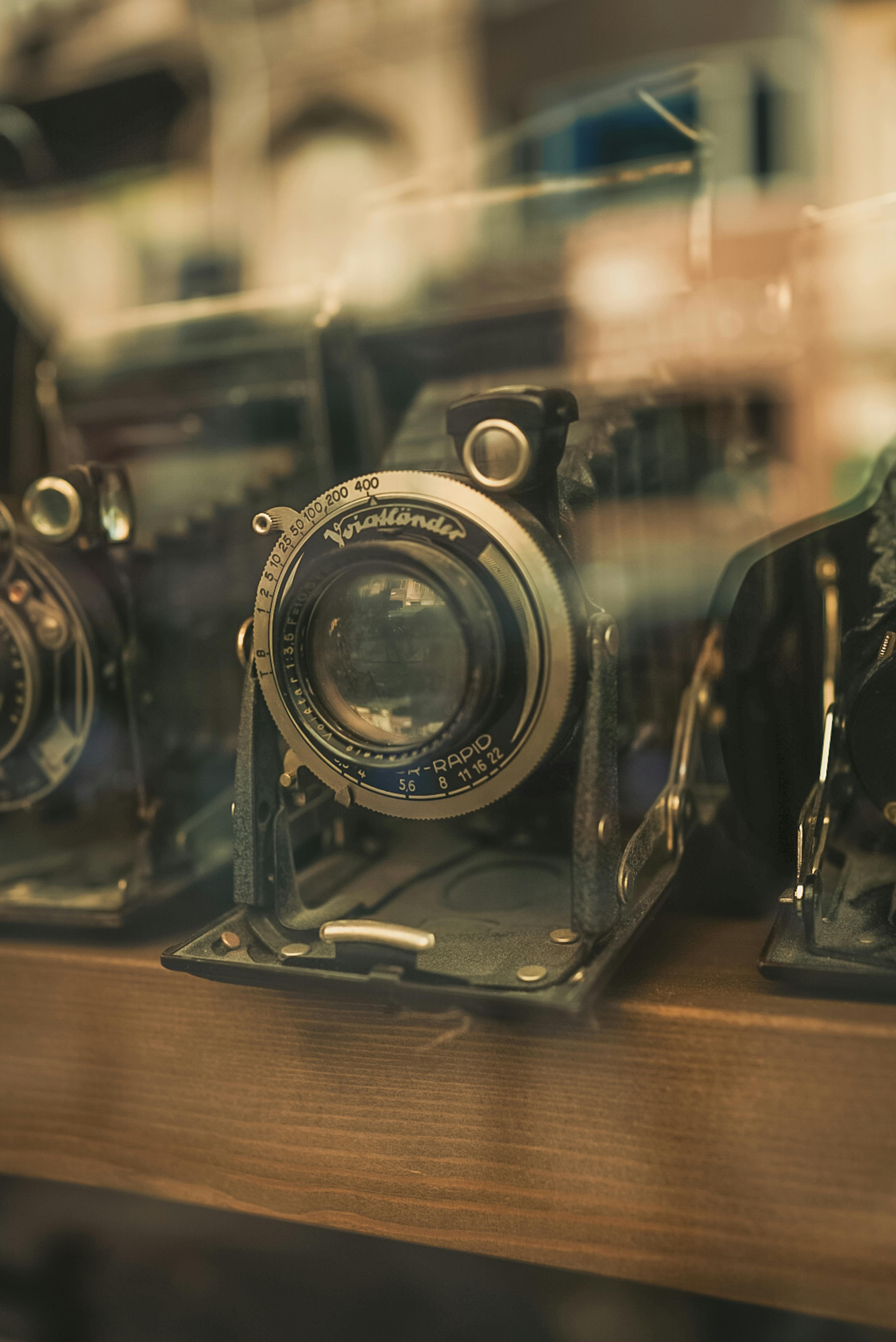 Old Folding Camera on Display · Free Stock Photo