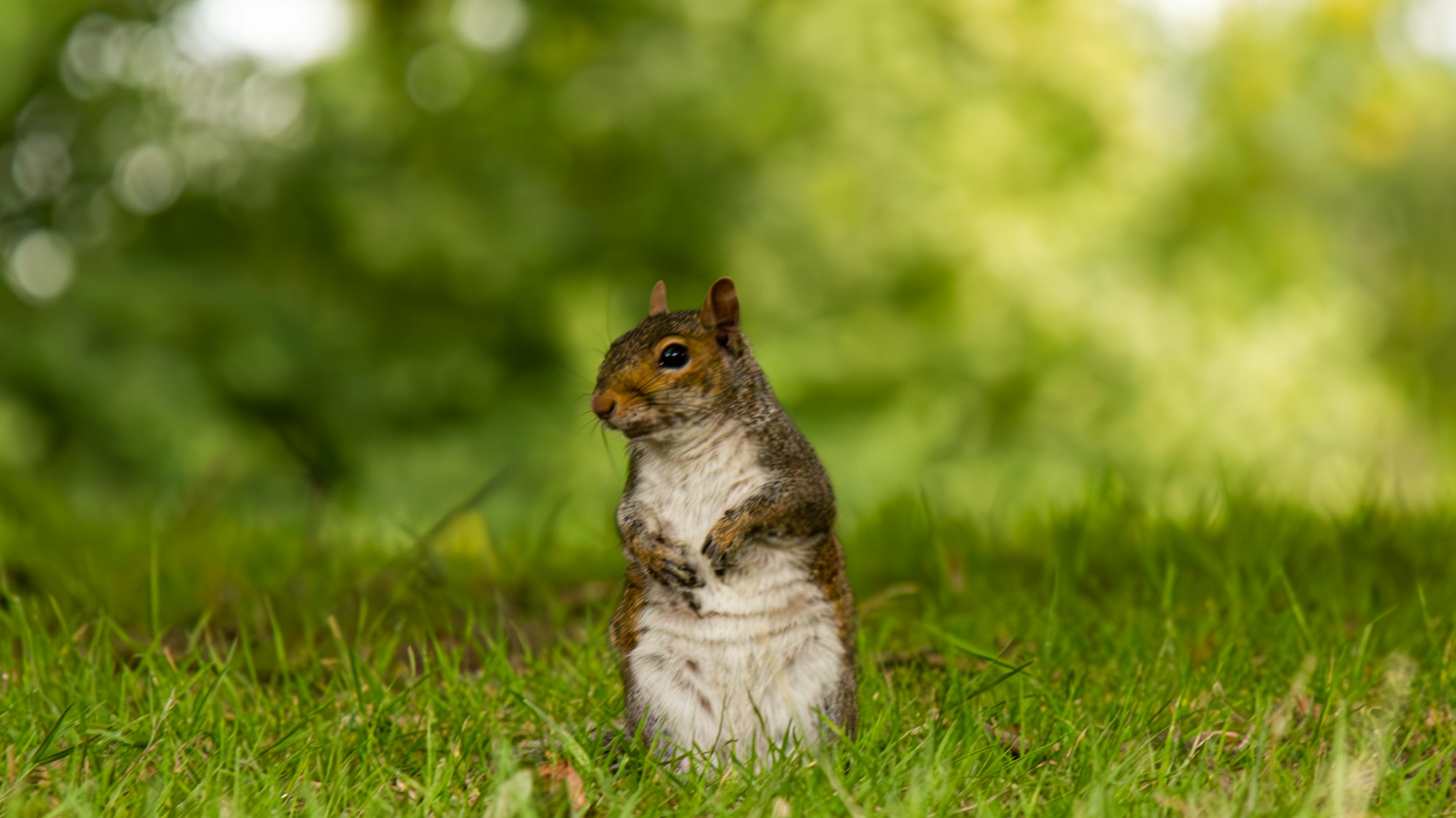 jack Richards - การถ่ายภาพ