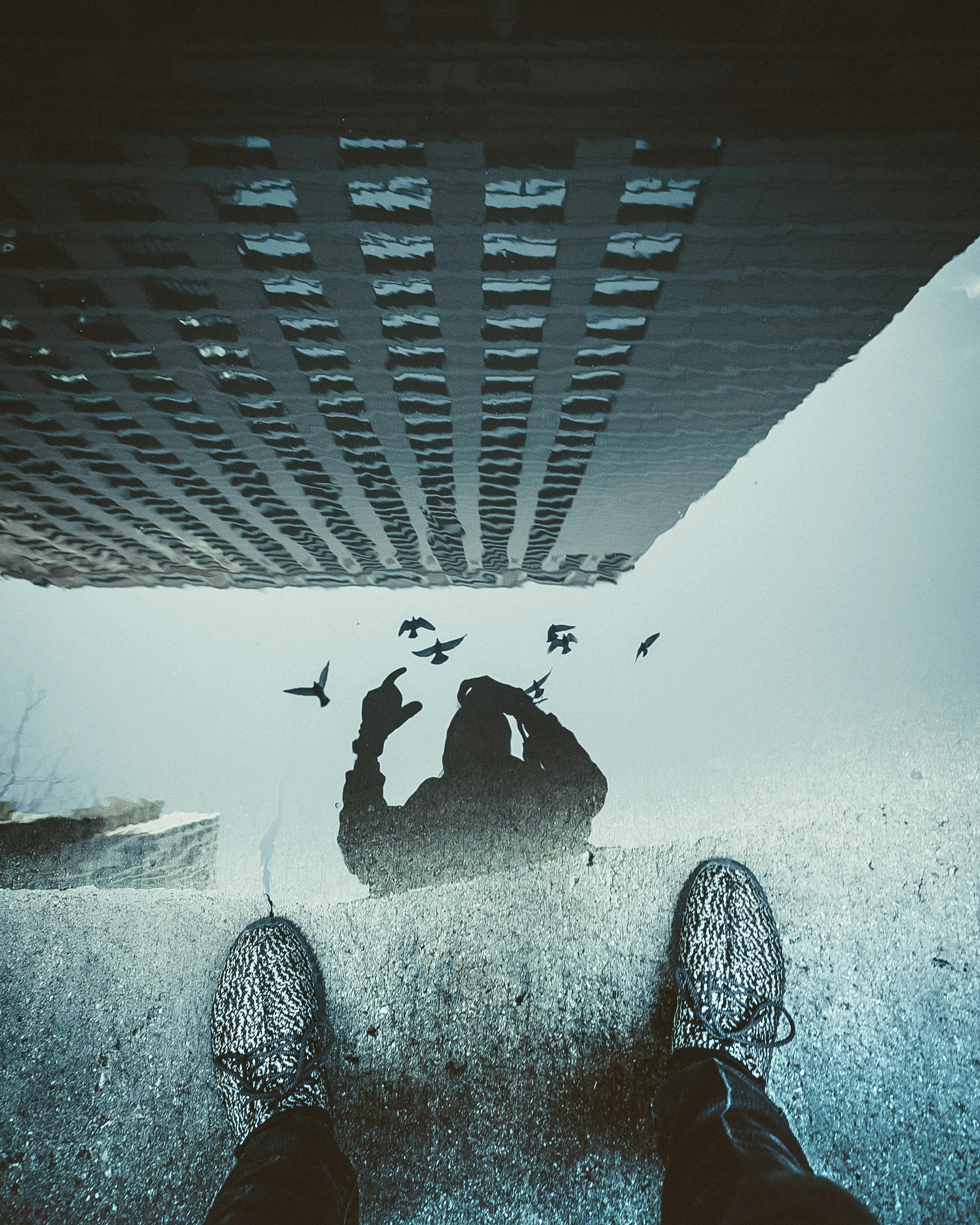 20,000+ Best Reflection Photos · 100% Free Download · Pexels Stock Photos