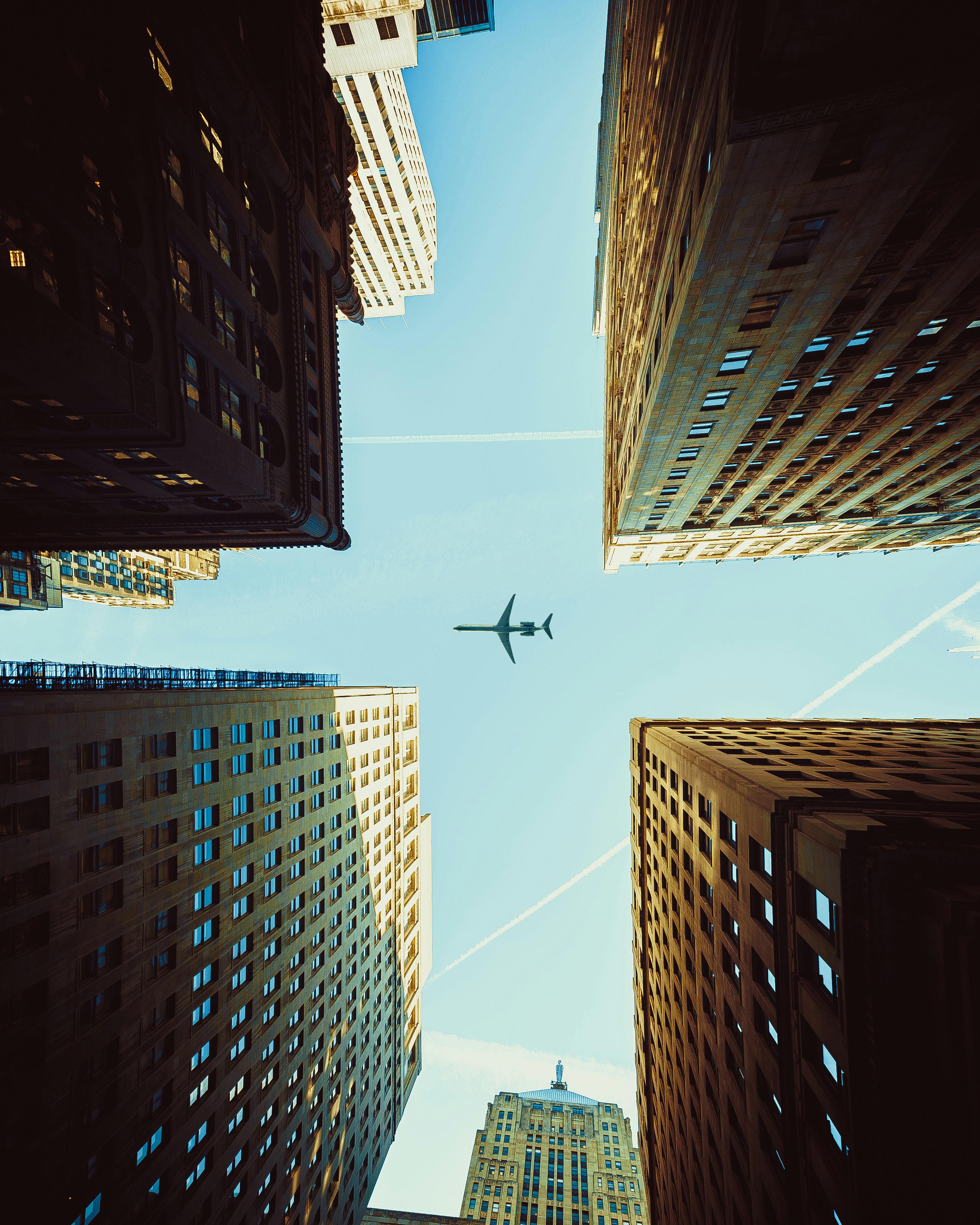 80,000+ Best Worm Eyes View Photos · 100% Free Download · Pexels Stock ...