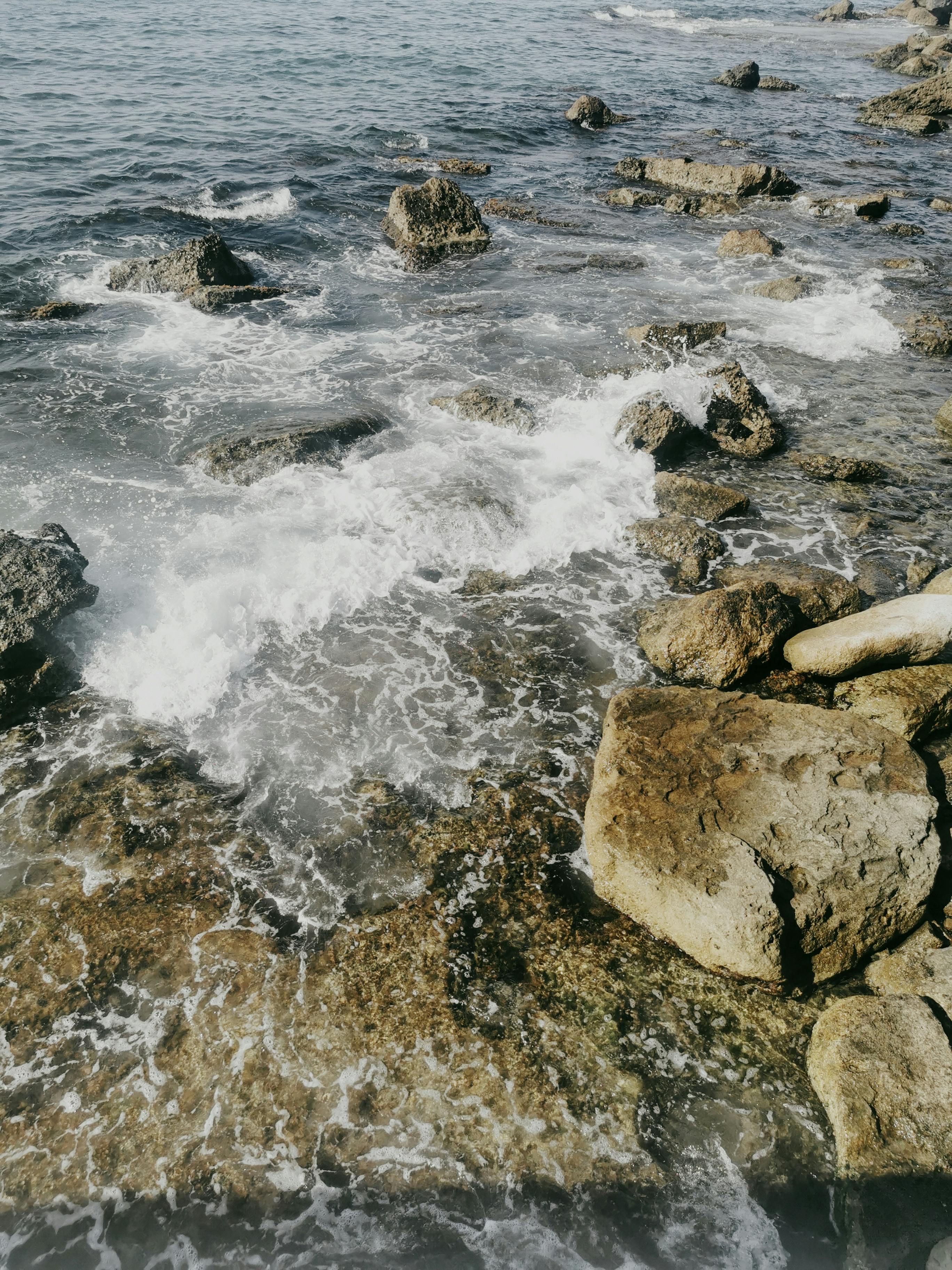 Océans Photos, Download The BEST Free Océans Stock Photos & HD Images