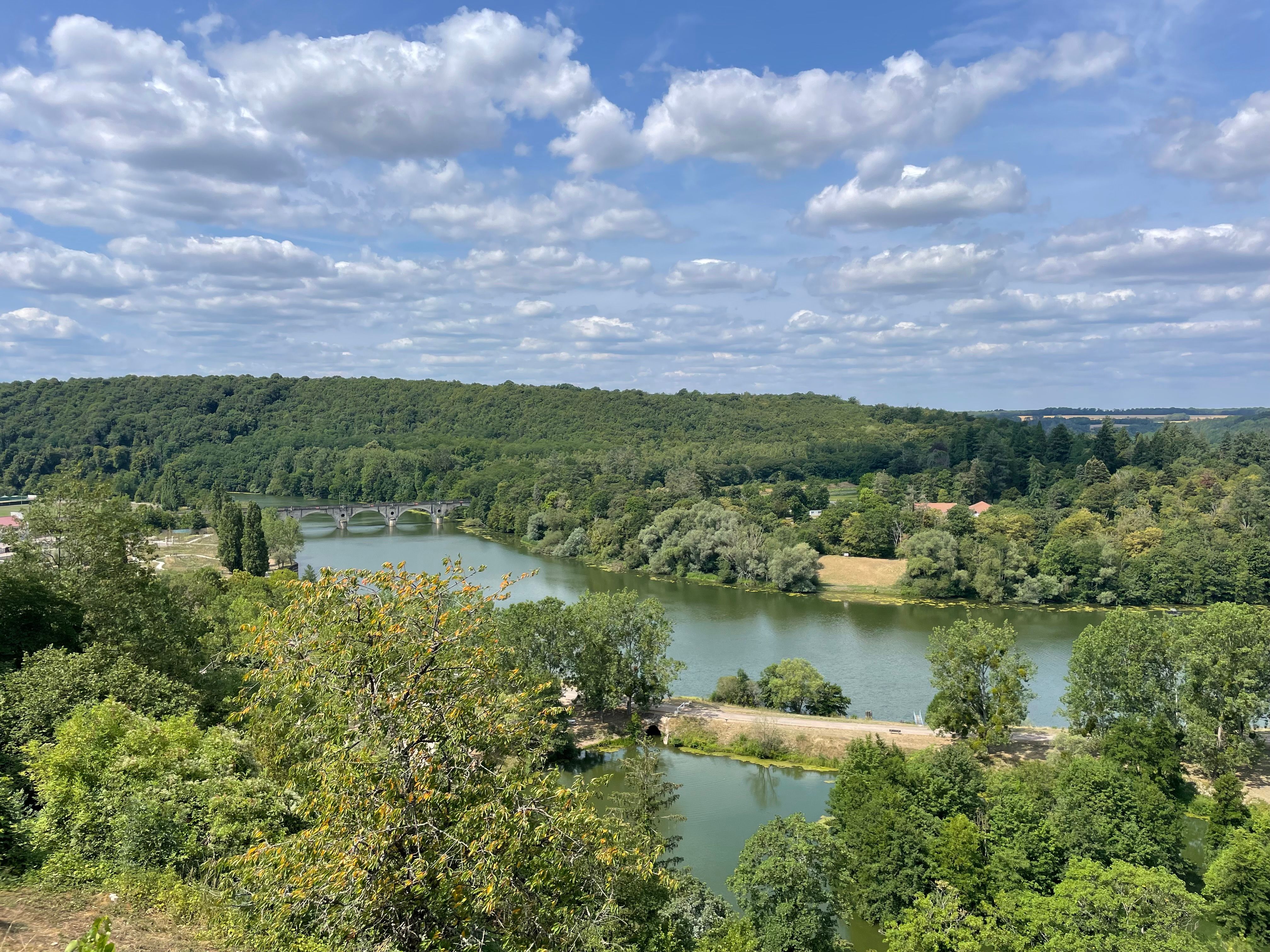 Green Forest and River on Plains · Free Stock Photo
