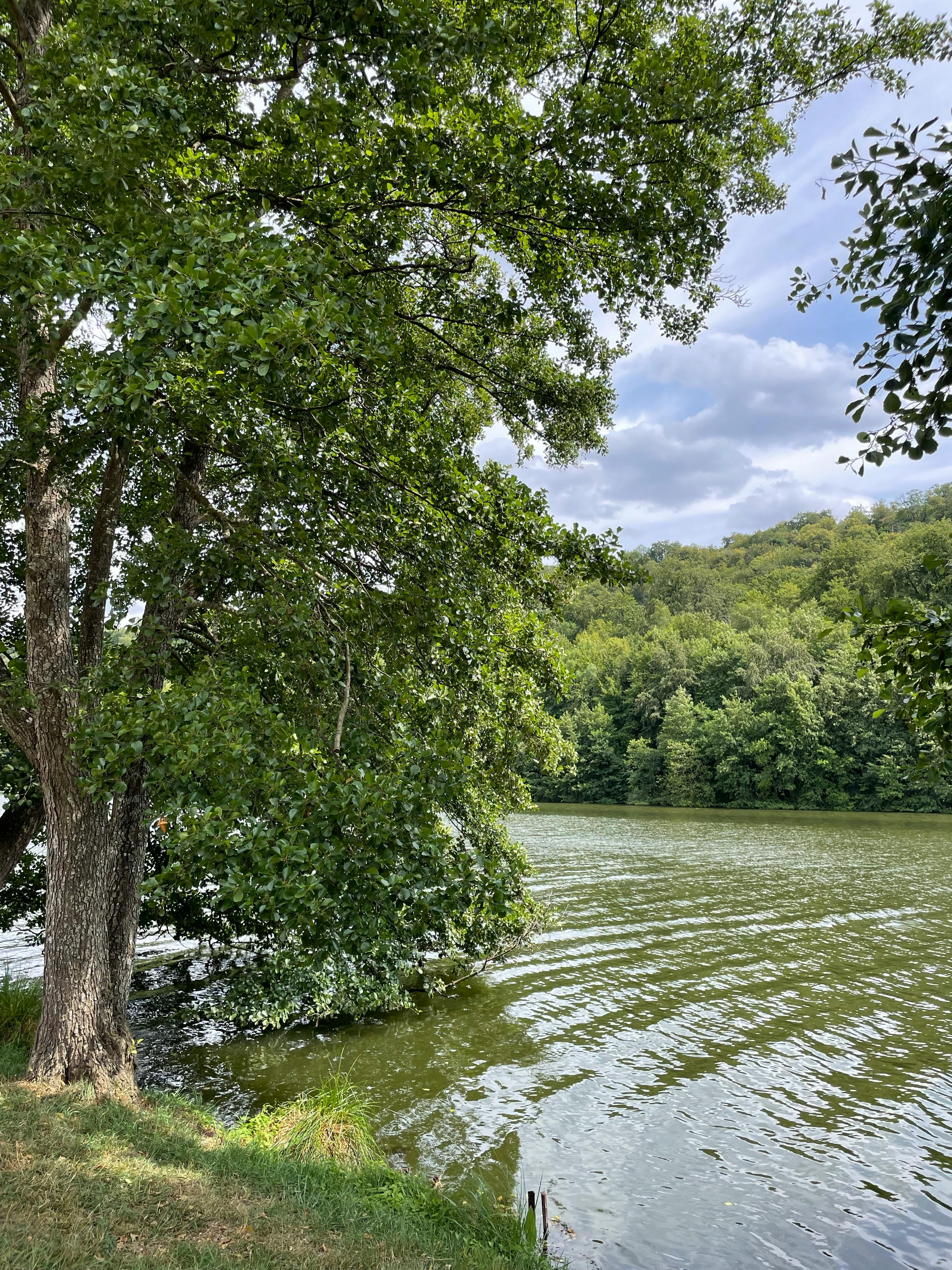 Tranquil Waving River · Free Stock Photo