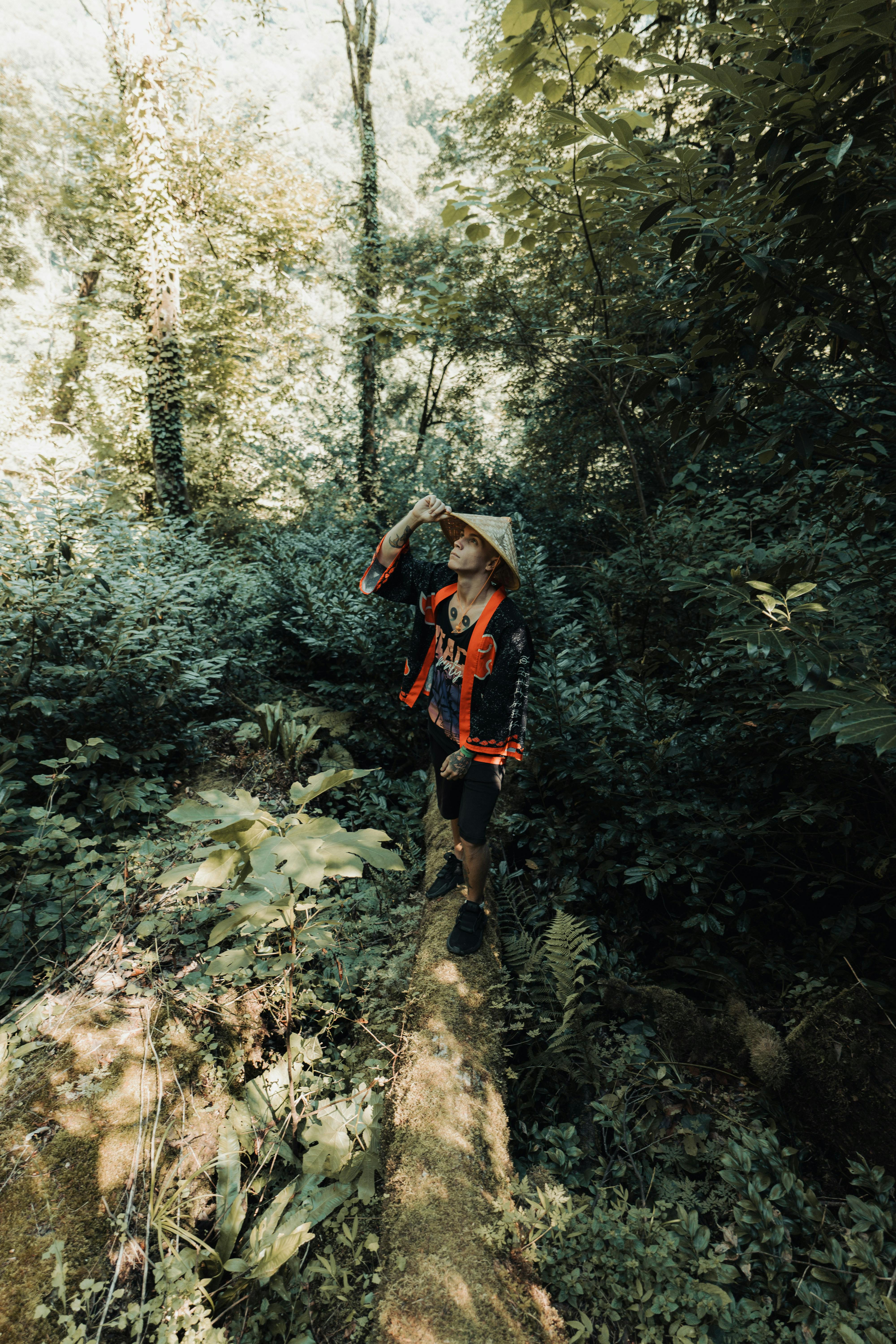 A Person Standing in a Forest · Free Stock Photo