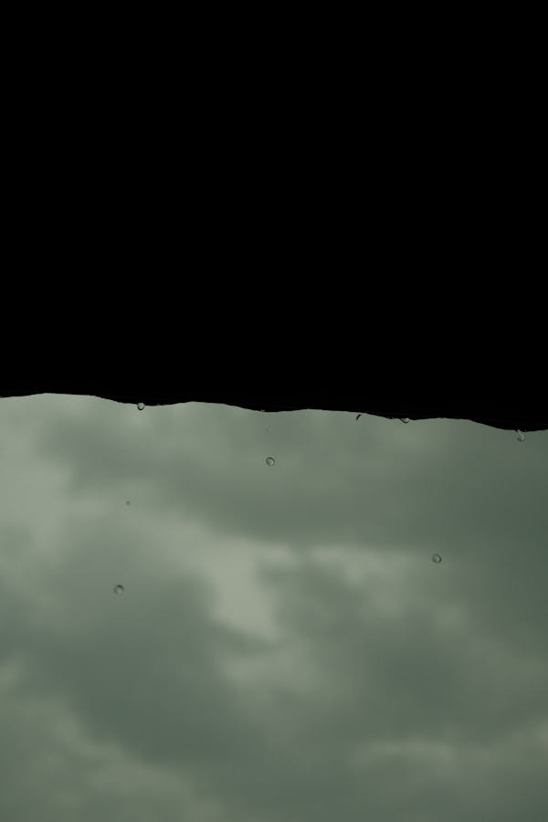 Falling Down Photos, Download The BEST Free Falling Down Stock Photos ...