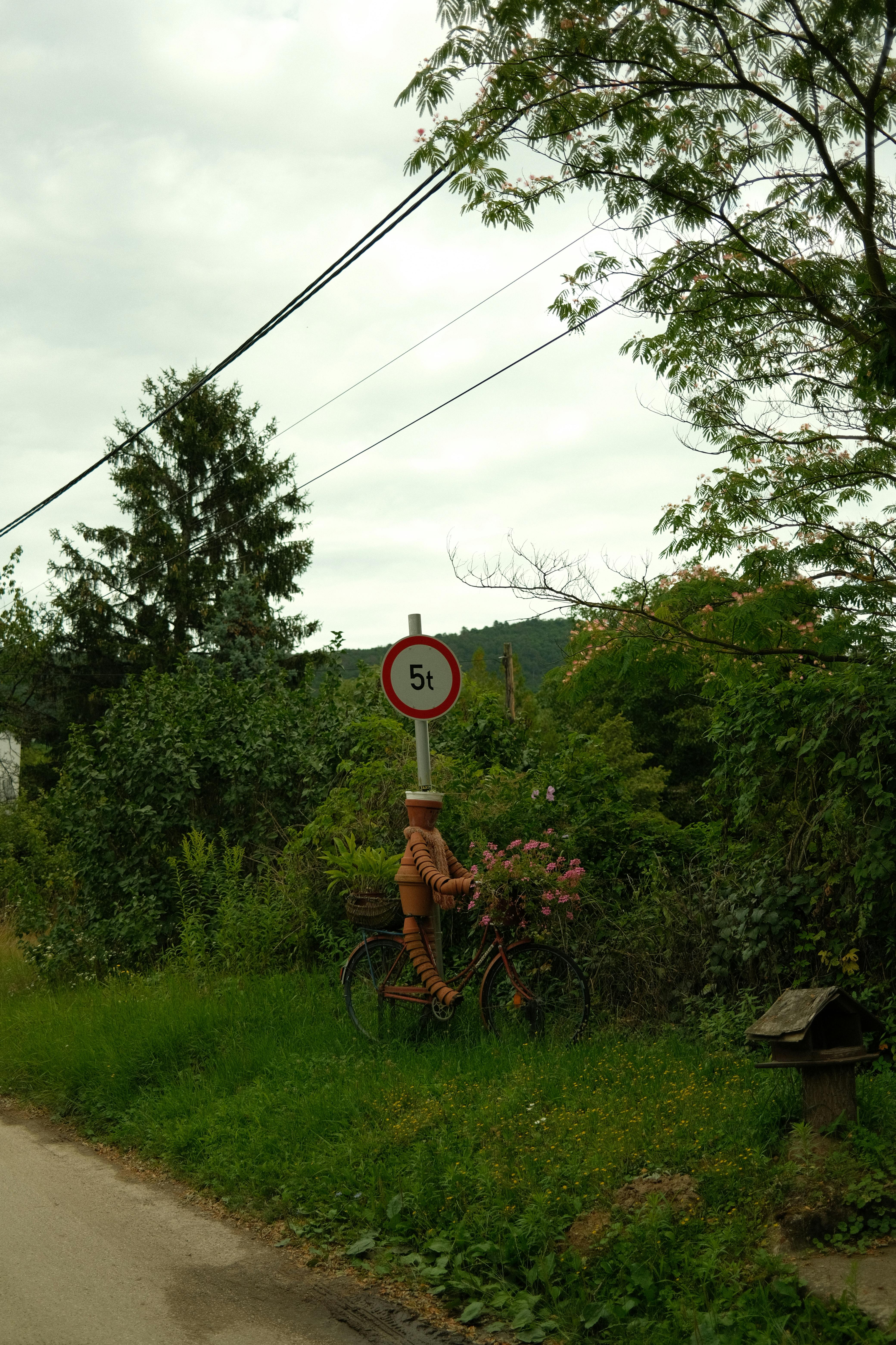 Potts Photos, Download The BEST Free Potts Stock Photos & HD Images