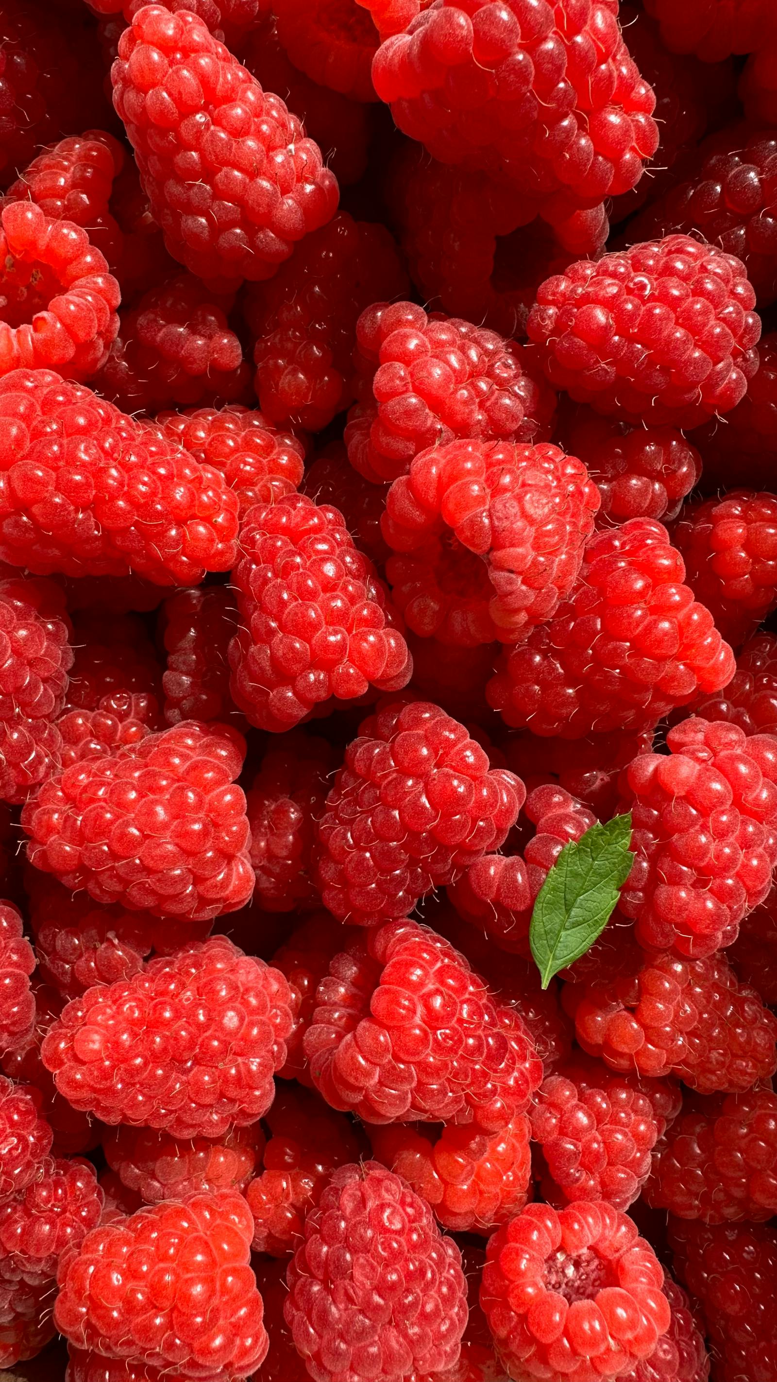 Ripe Raspberries Photos, Download The BEST Free Ripe Raspberries Stock ...