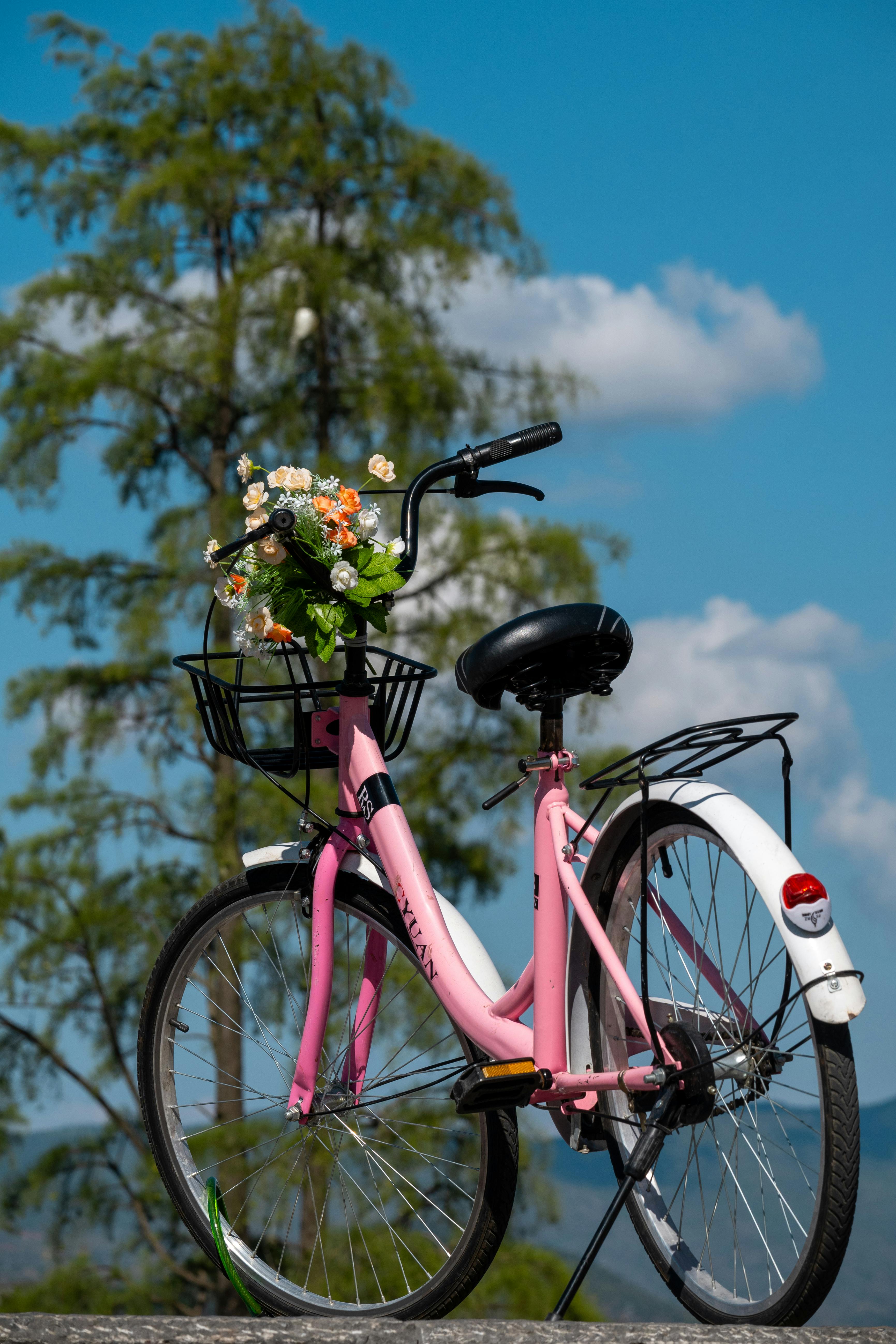 Flowers on Handlebar of Pink Bike · Free Stock Photo
