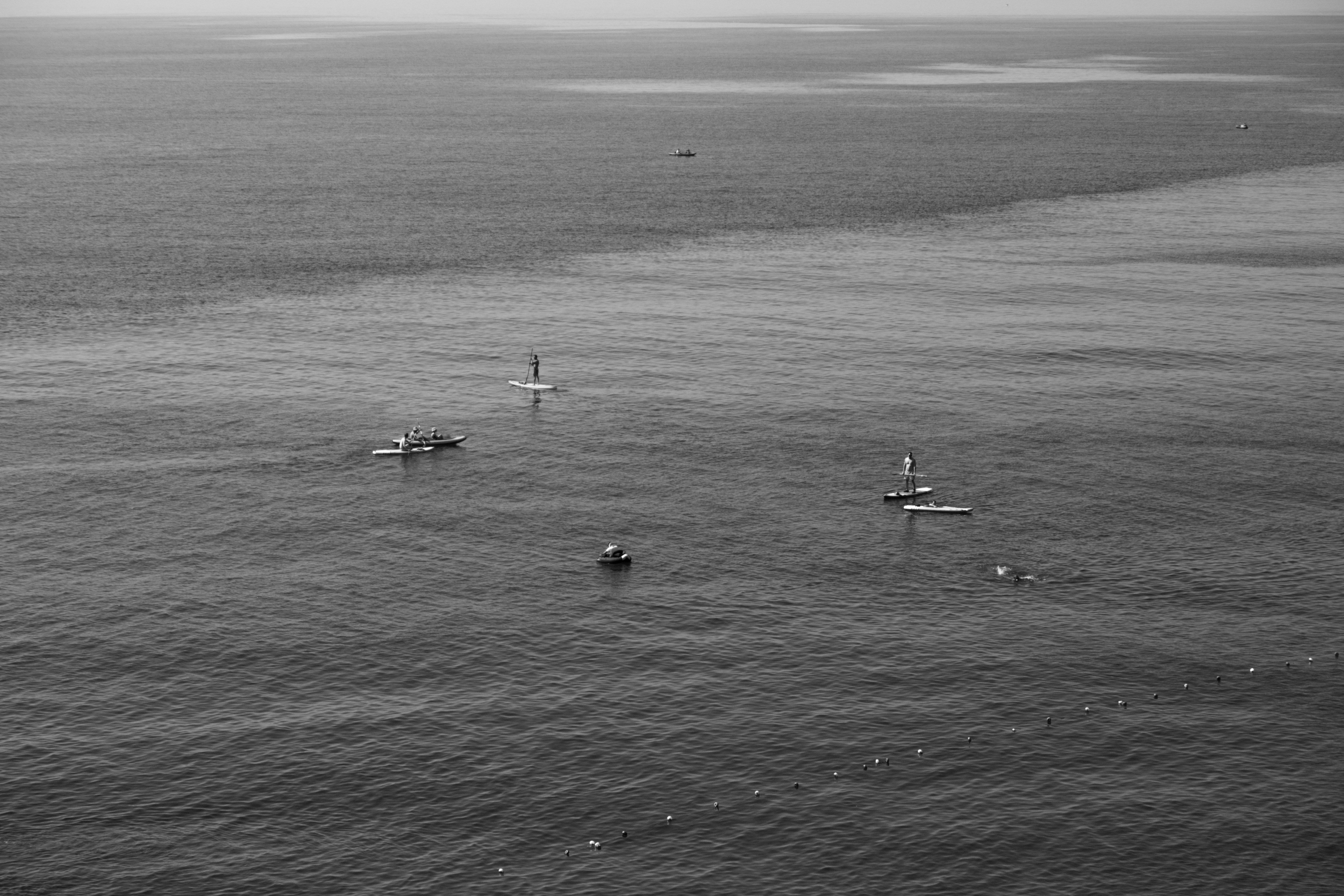 Tourists Swimming in the Ocean · Free Stock Photo
