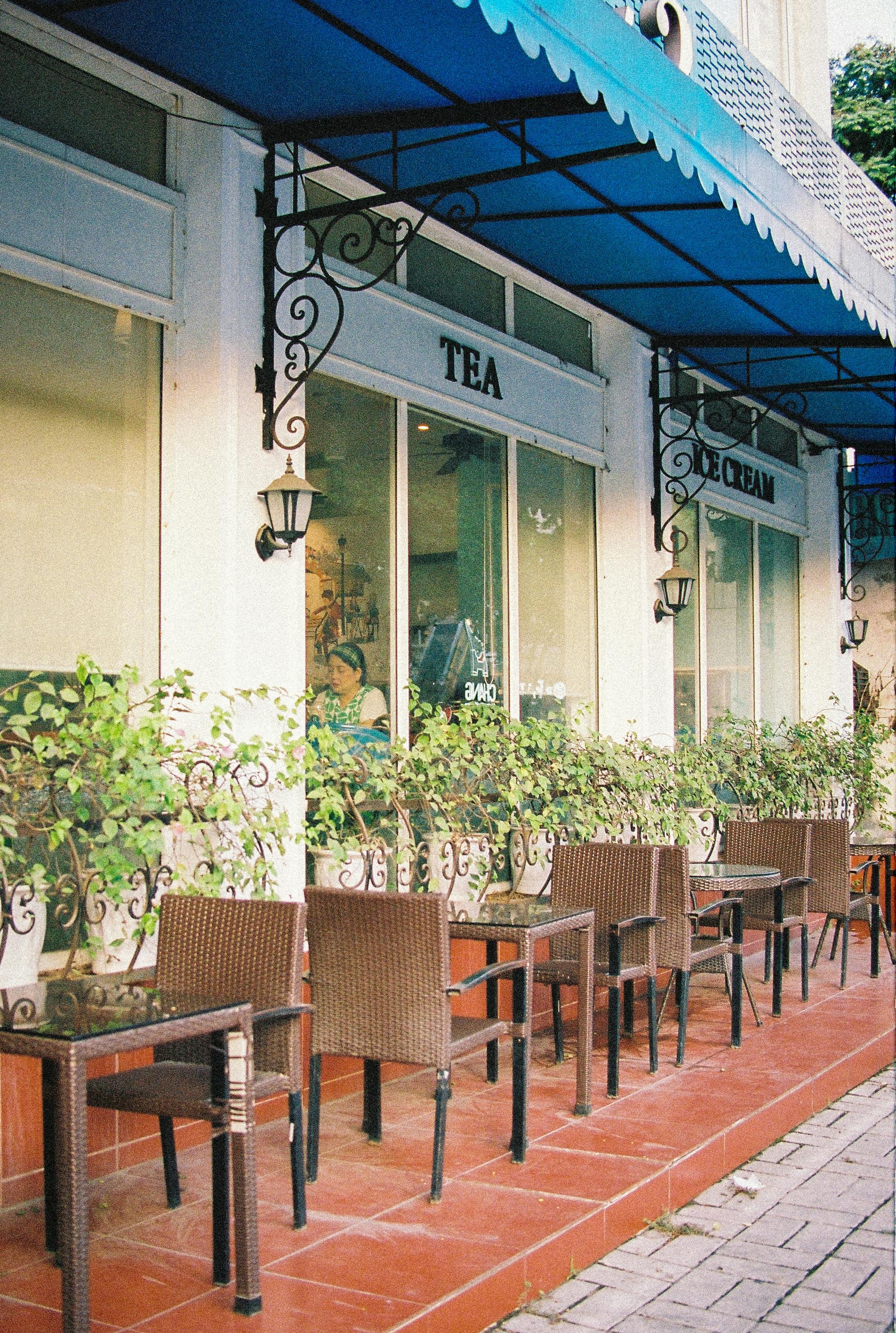 Back View of a Woman Entering a Restaurant · Free Stock Photo