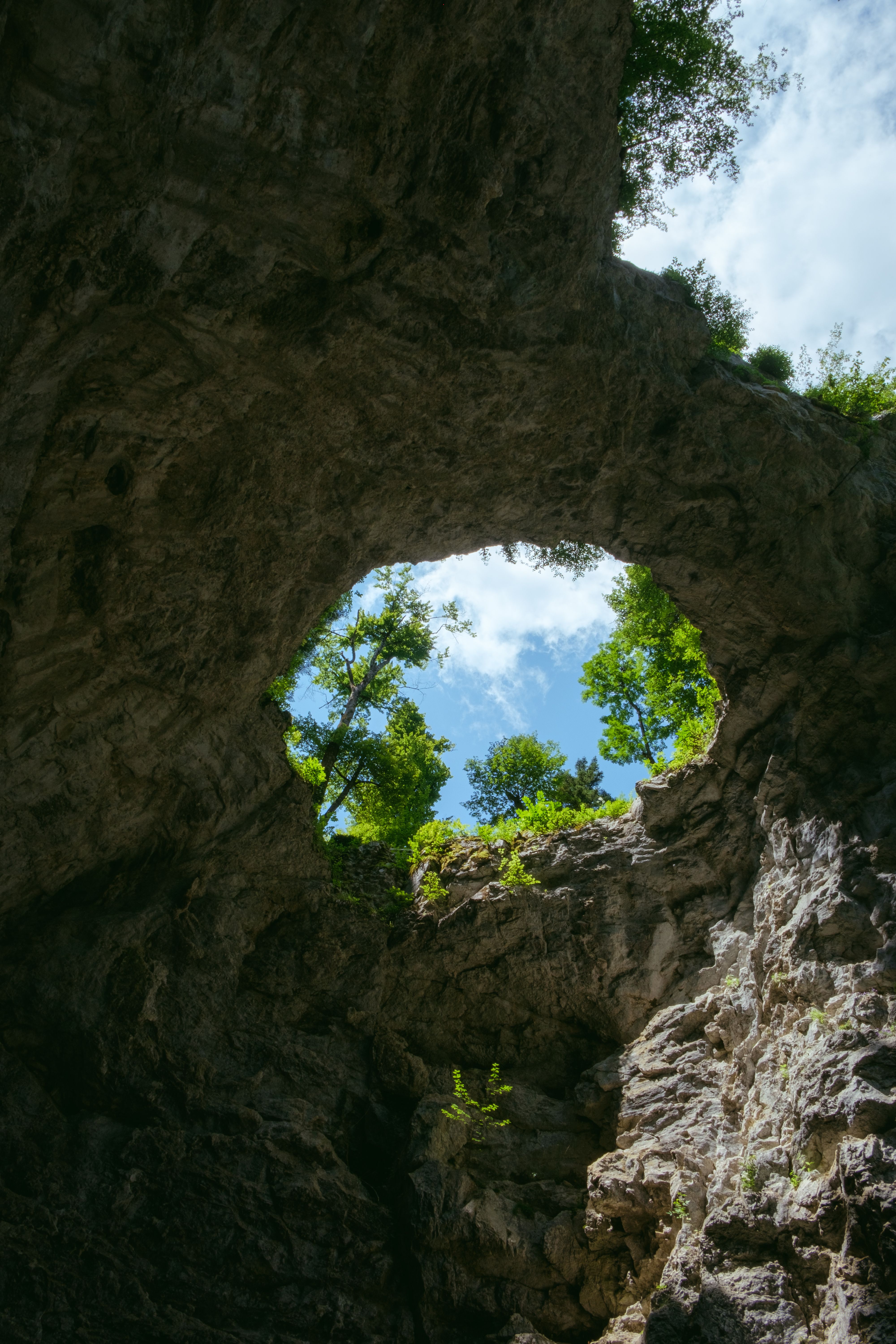 Trees and Sky Seen Through a Hole in a Mountain Cave Ceiling · Free ...