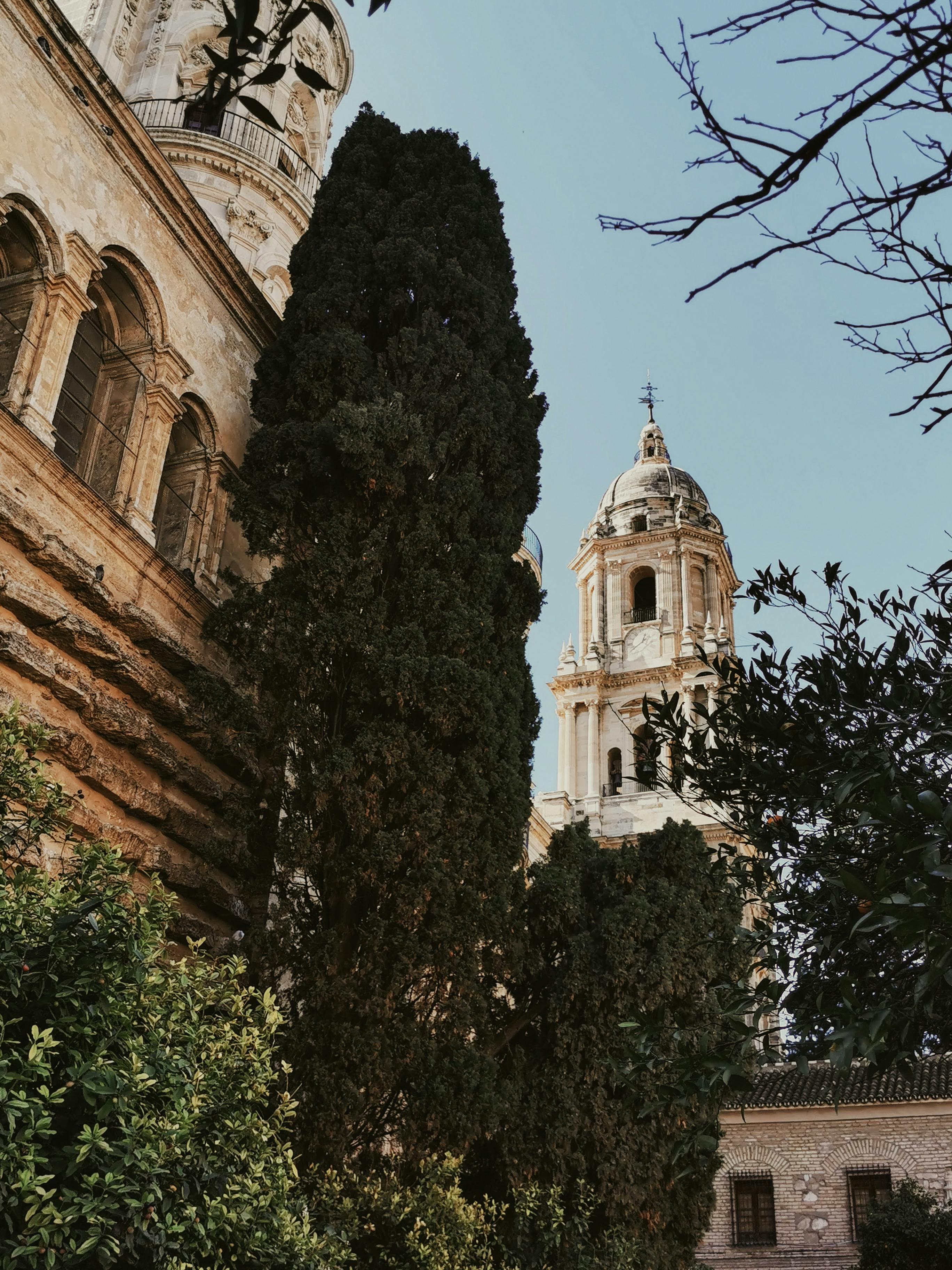 Tower of Cathedral of Saint George in Modica behind Trees · Free Stock ...