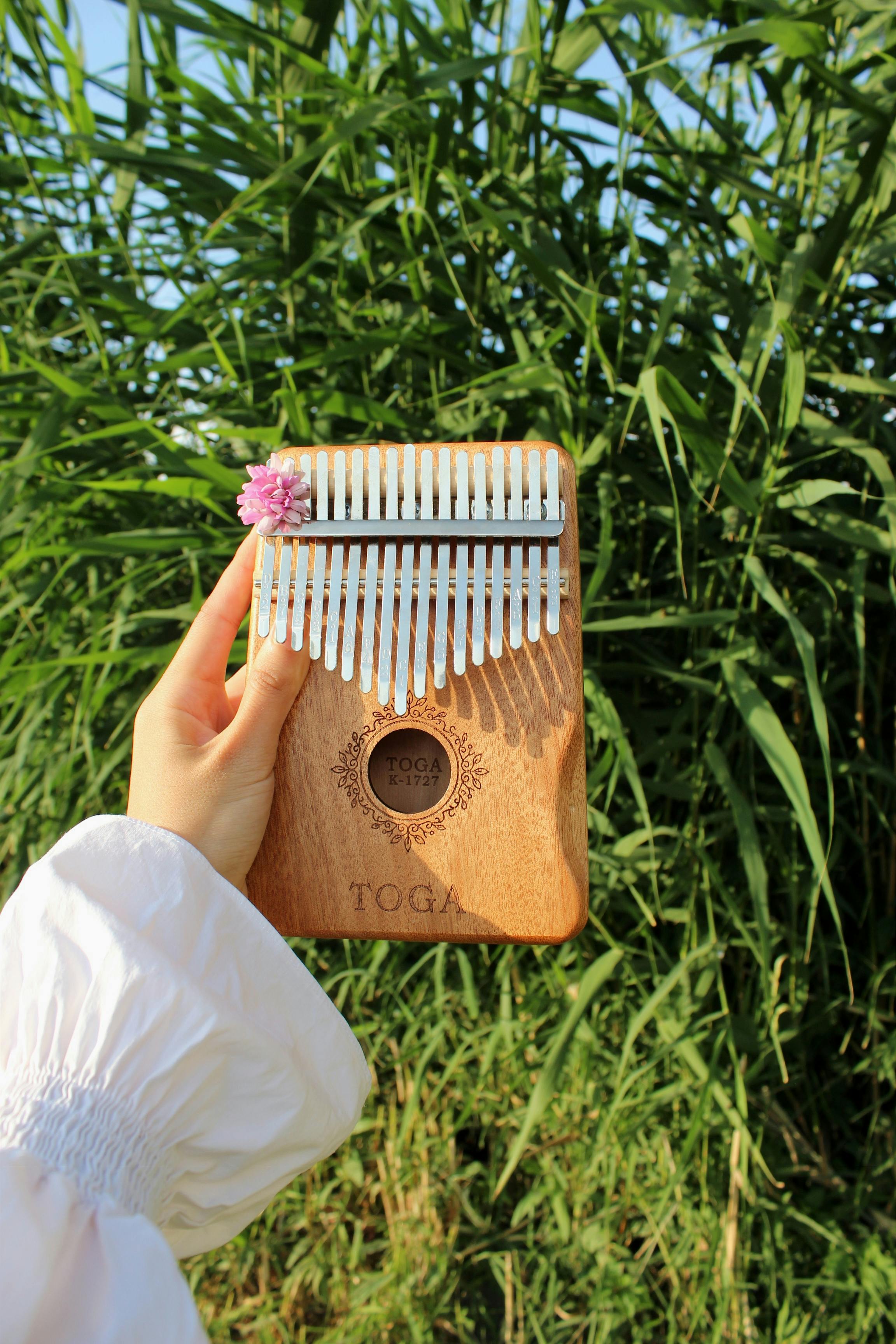 Dessin Instrument Photos, Download The BEST Free Dessin Instrument ...