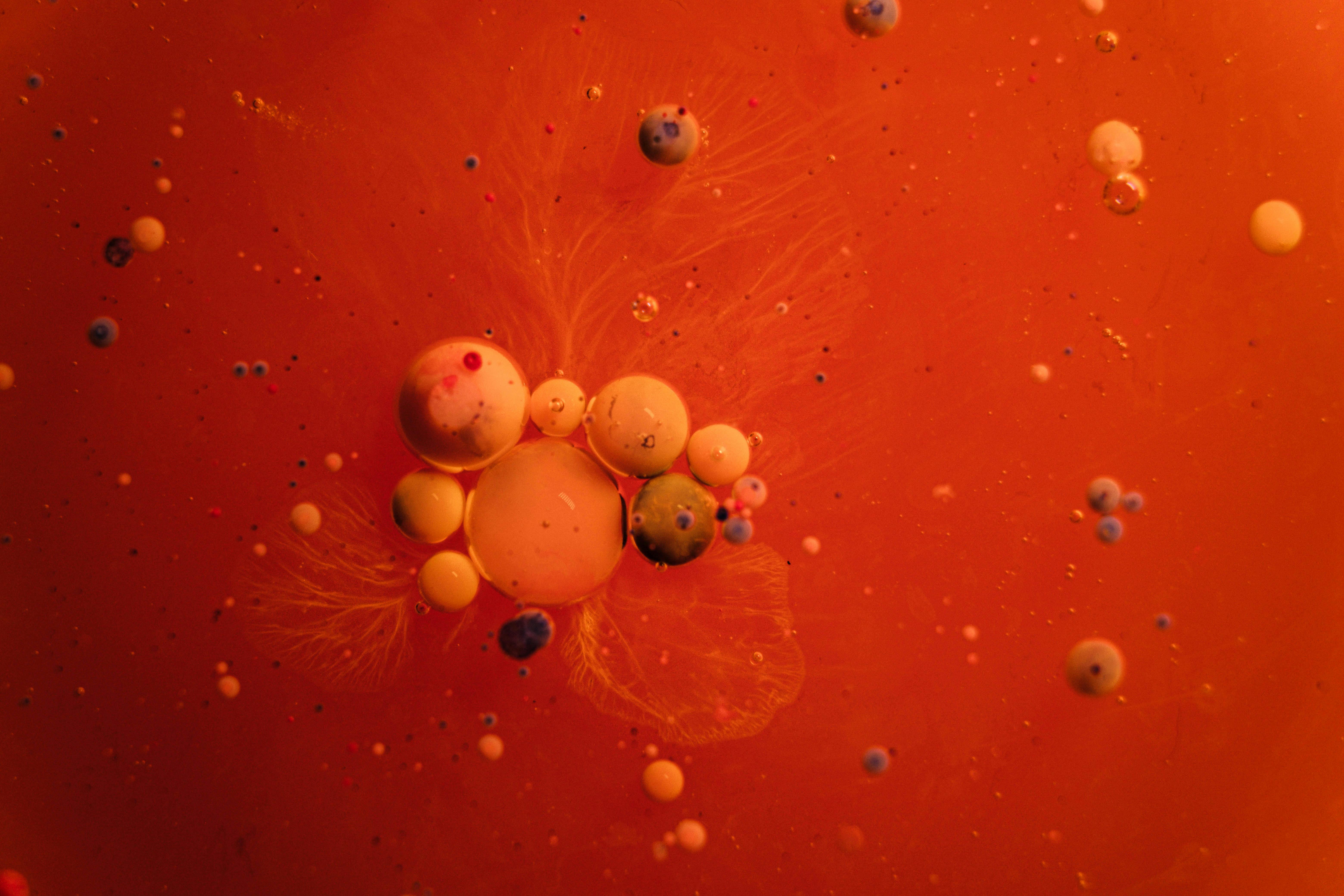 Cells Photos, Download The BEST Free Cells Stock Photos & HD Images