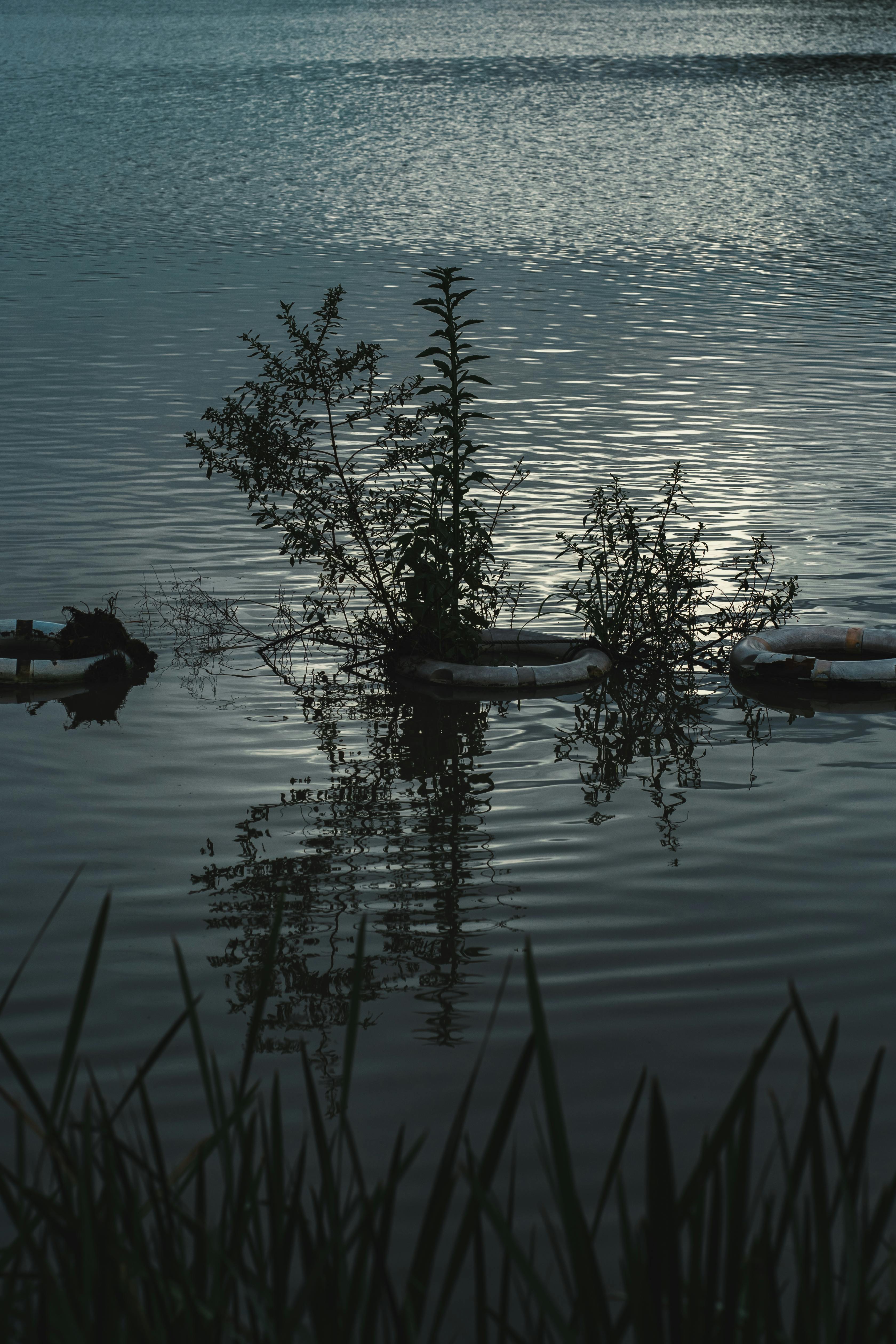 Ripples in River at Night · Free Stock Photo