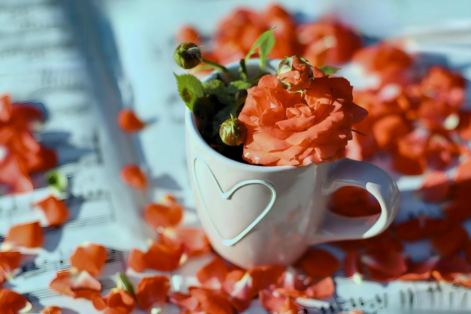 Pass Symbol Photos, Download The BEST Free Pass Symbol Stock Photos ...