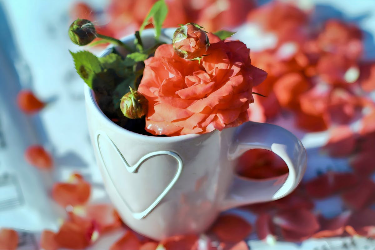 Pass Symbol Photos, Download The BEST Free Pass Symbol Stock Photos ...