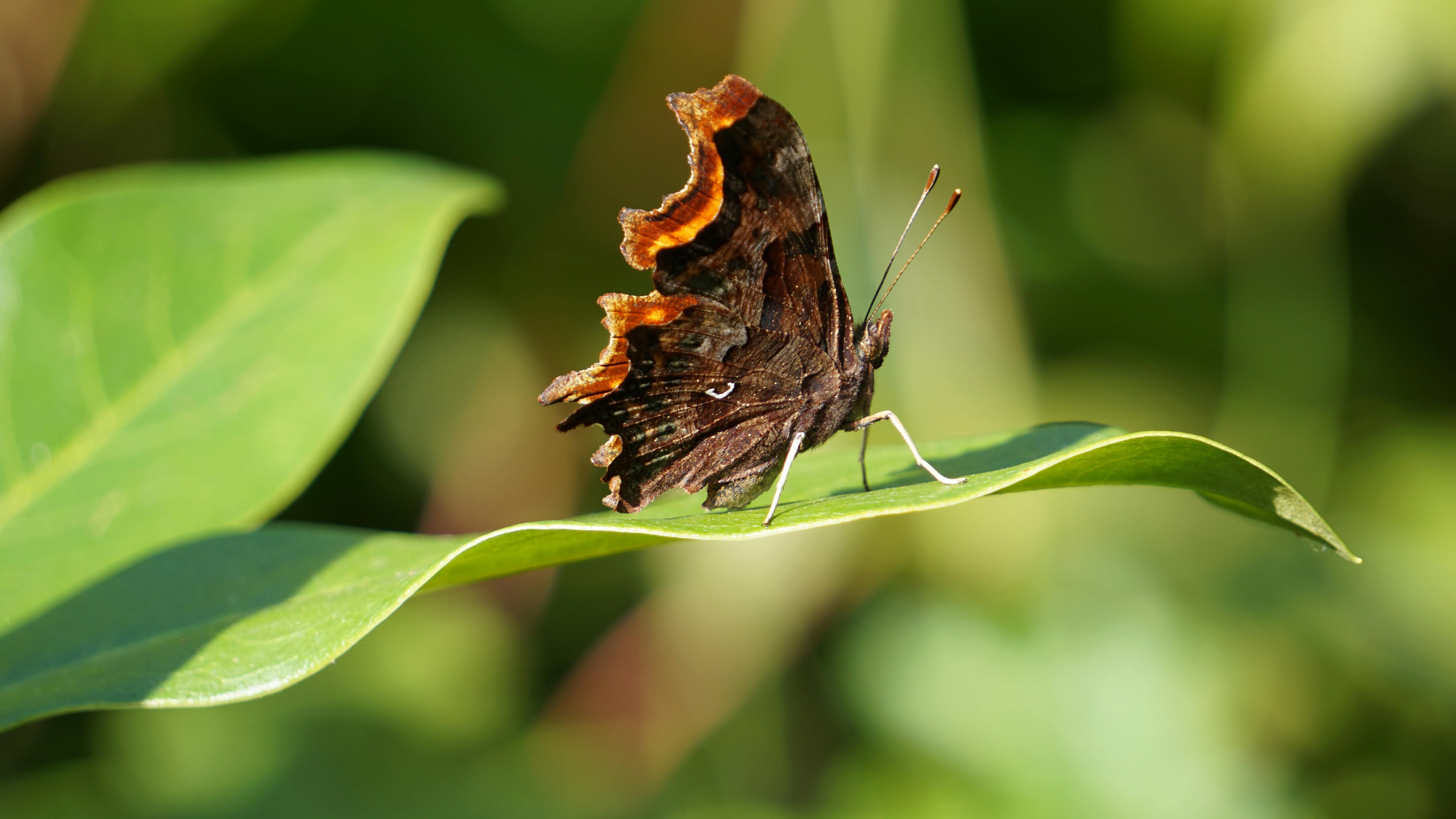 Laurens van Riel - Photography