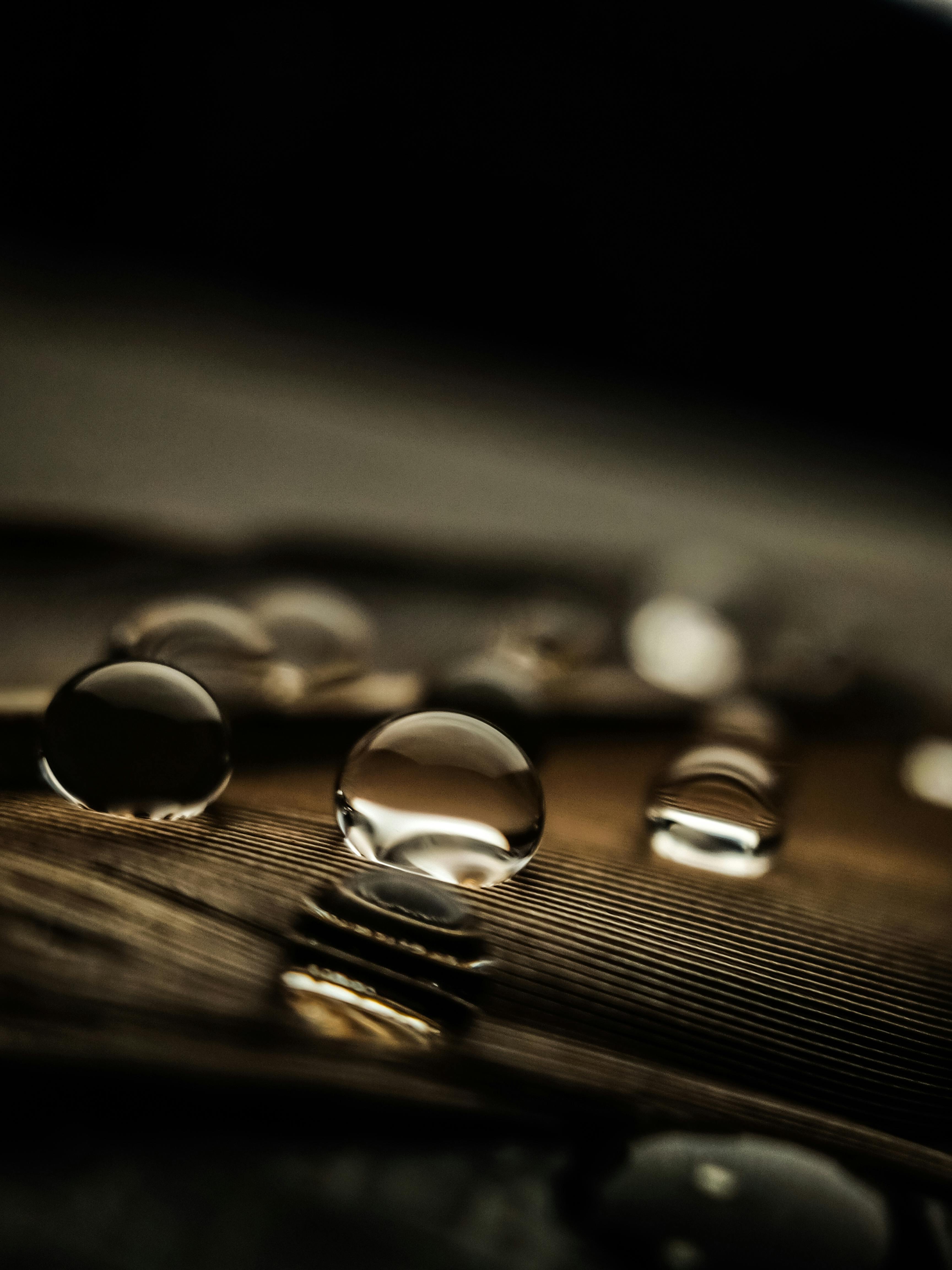 Round Droplets of Rain · Free Stock Photo