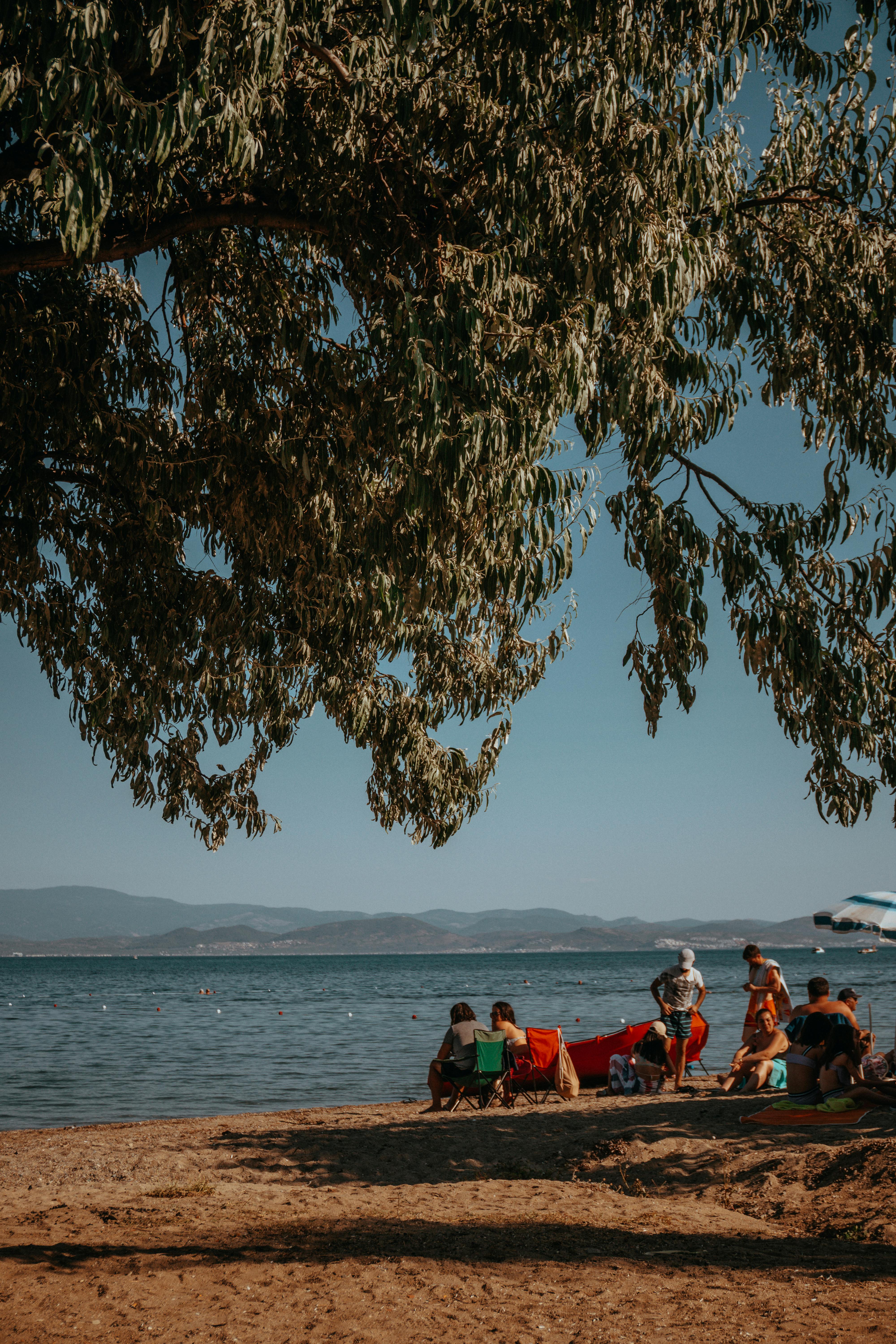People at Beach in Summer · Free Stock Photo