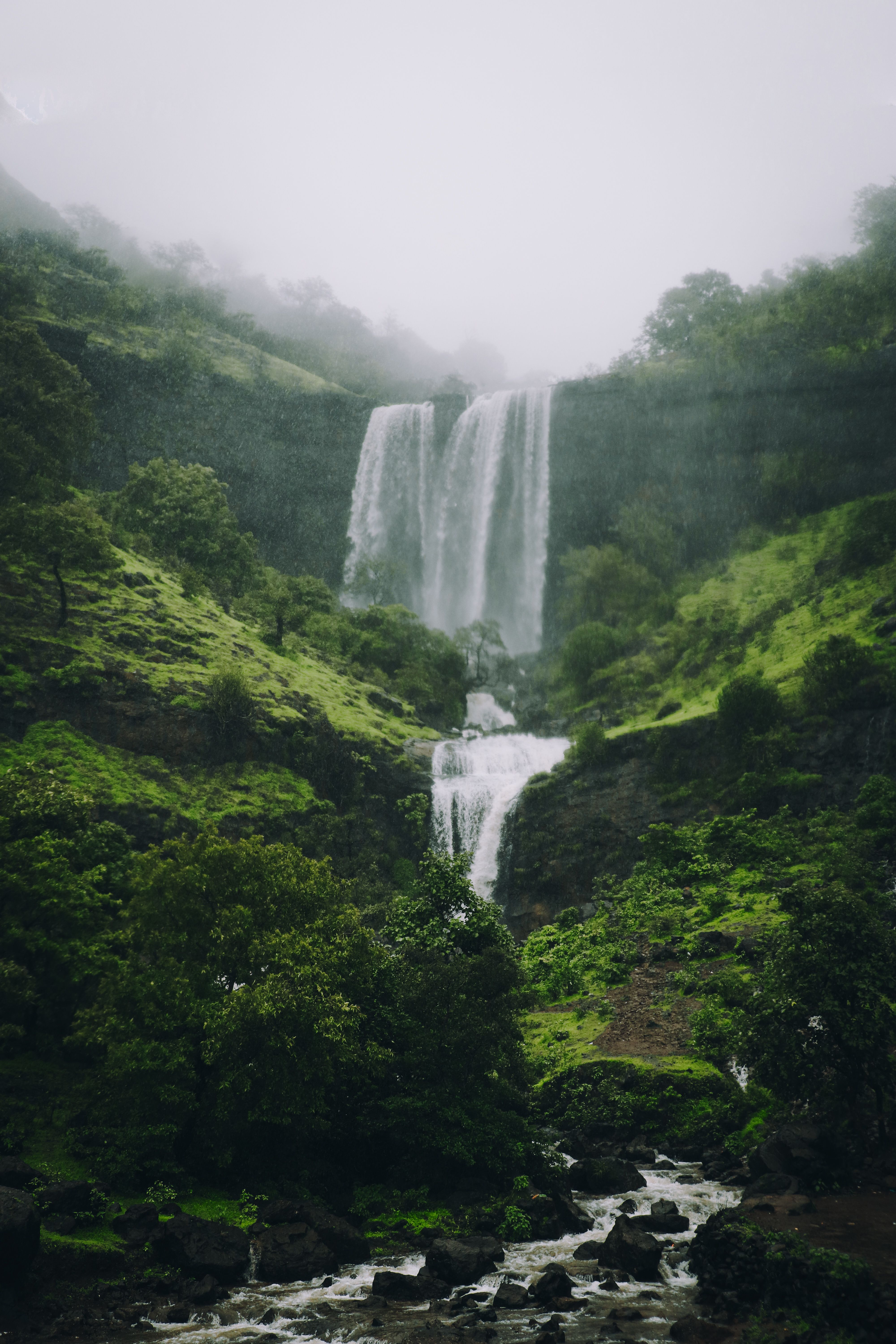 Waterfall Near Trees · Free Stock Photo