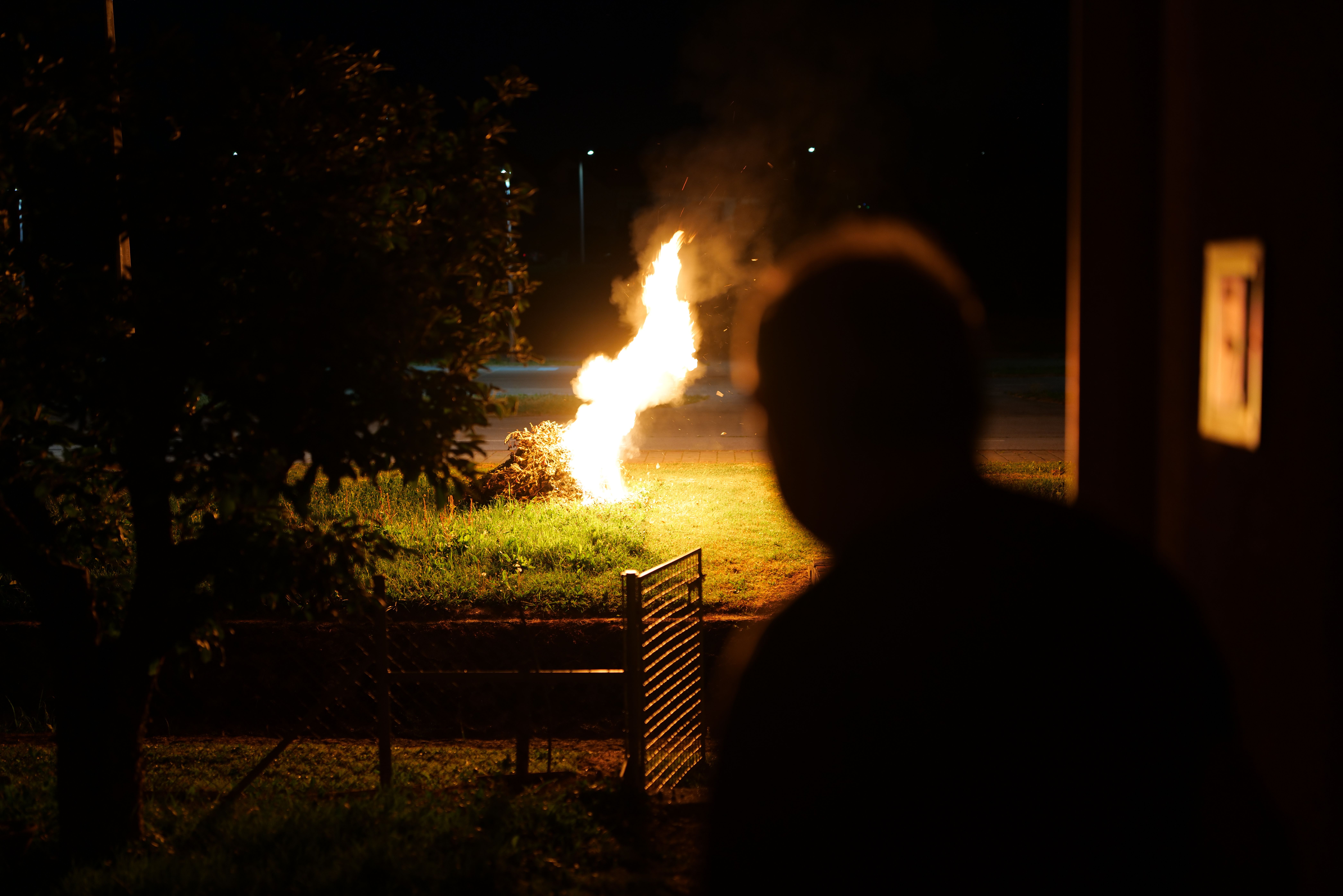 Shrub Burning with Fire in Yard · Free Stock Photo