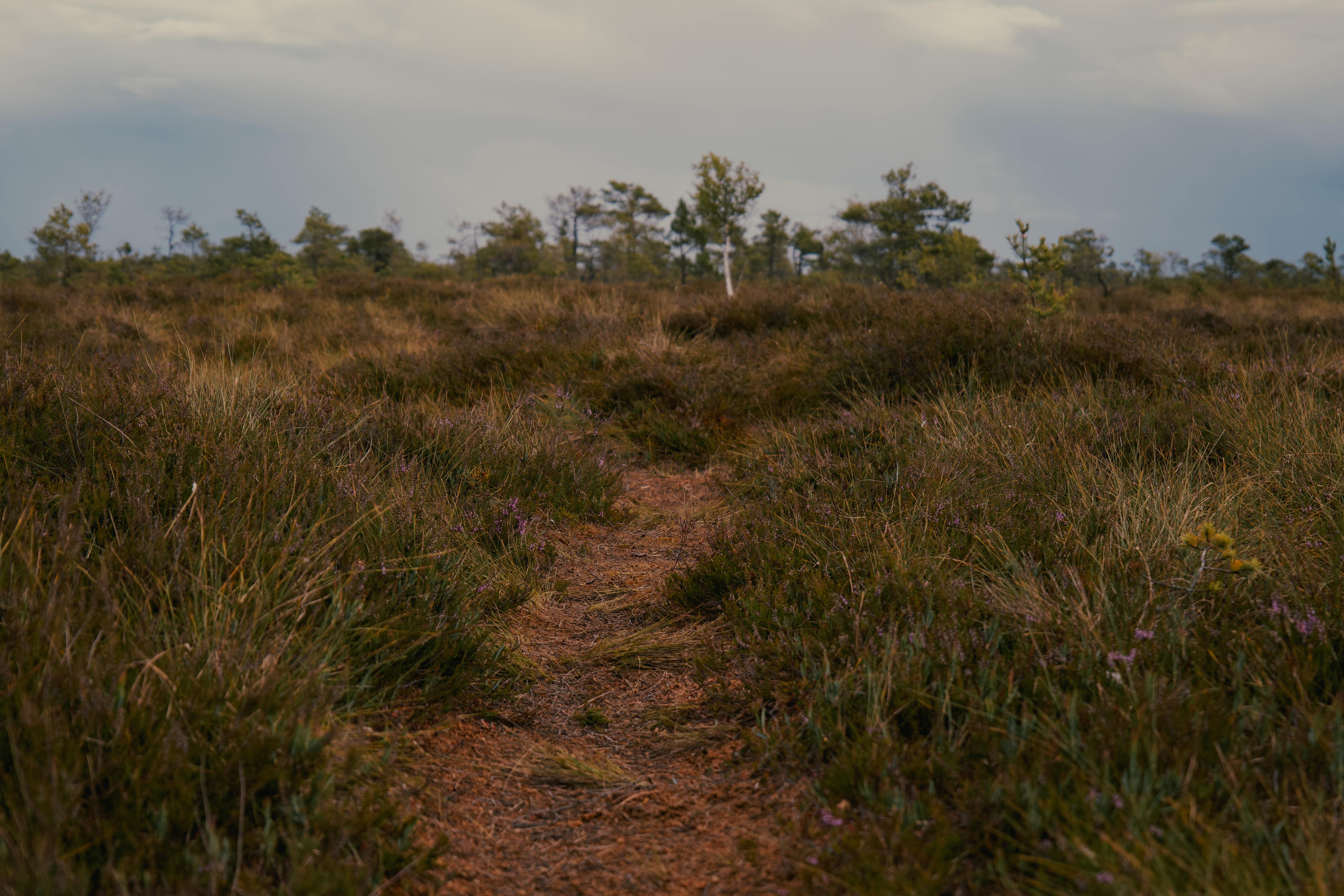 Circular Path Photos, Download The BEST Free Circular Path Stock Photos ...