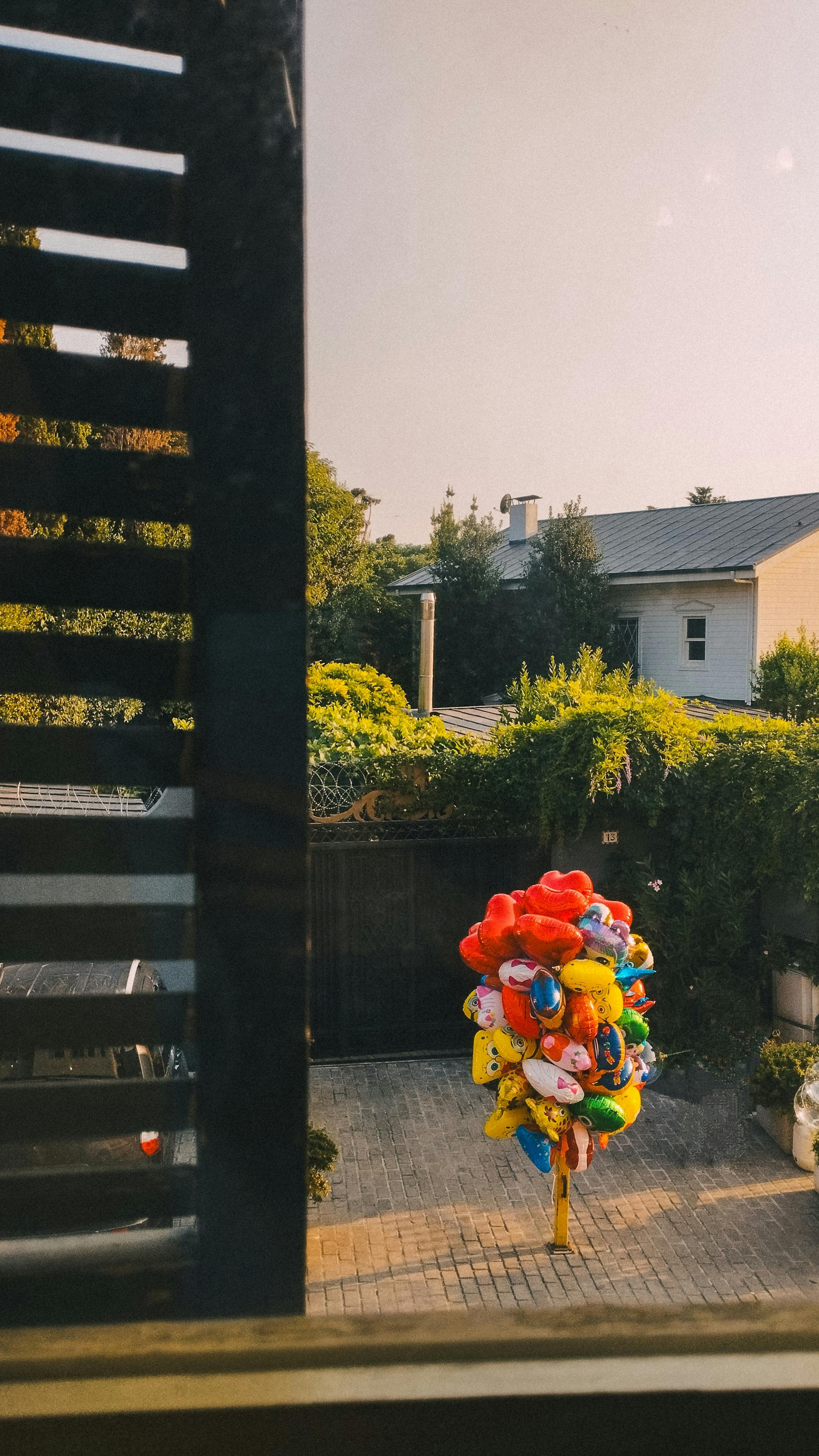 Tacky Party Photos, Download The BEST Free Tacky Party Stock Photos ...