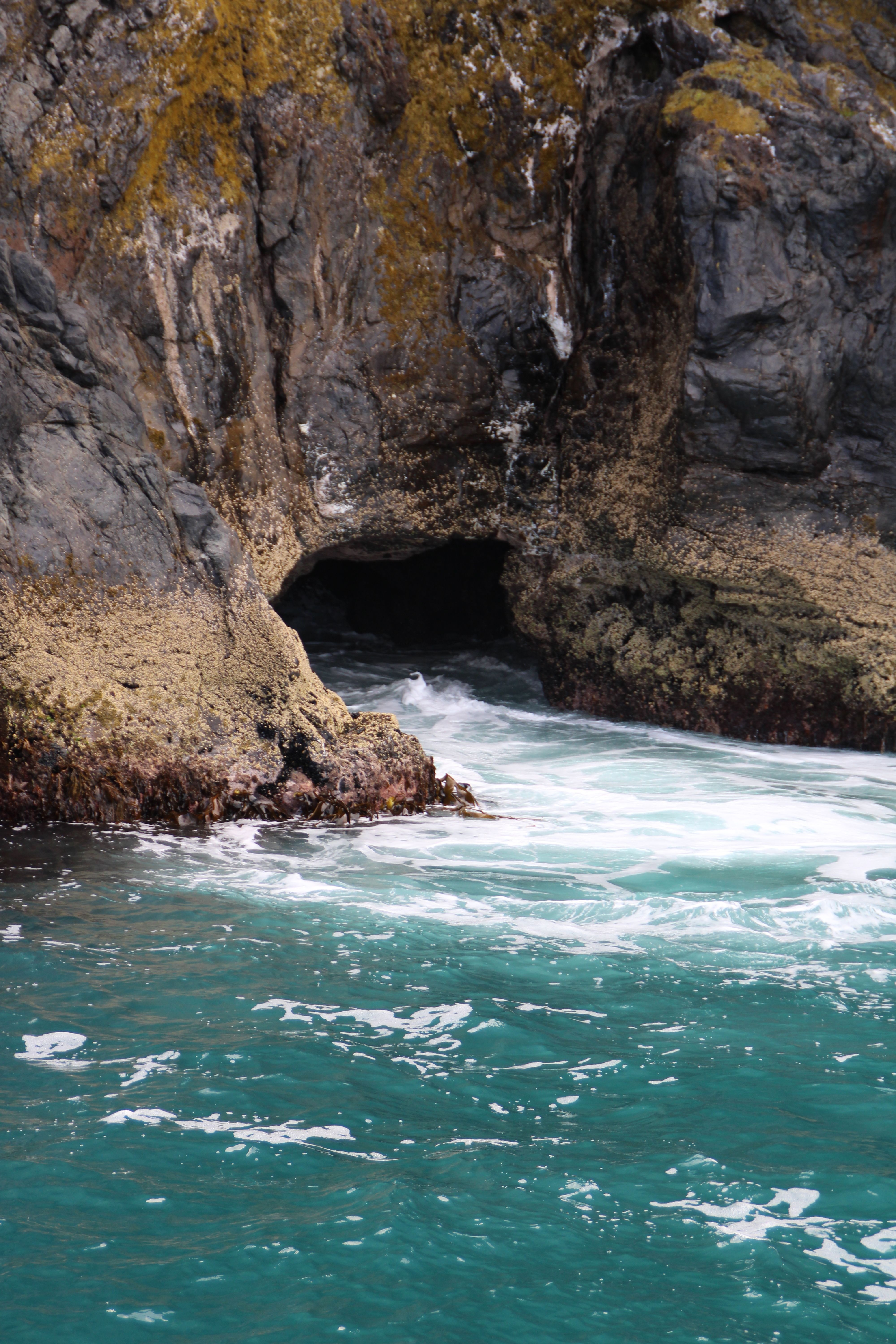 Cave Entrances Photos, Download The BEST Free Cave Entrances Stock ...
