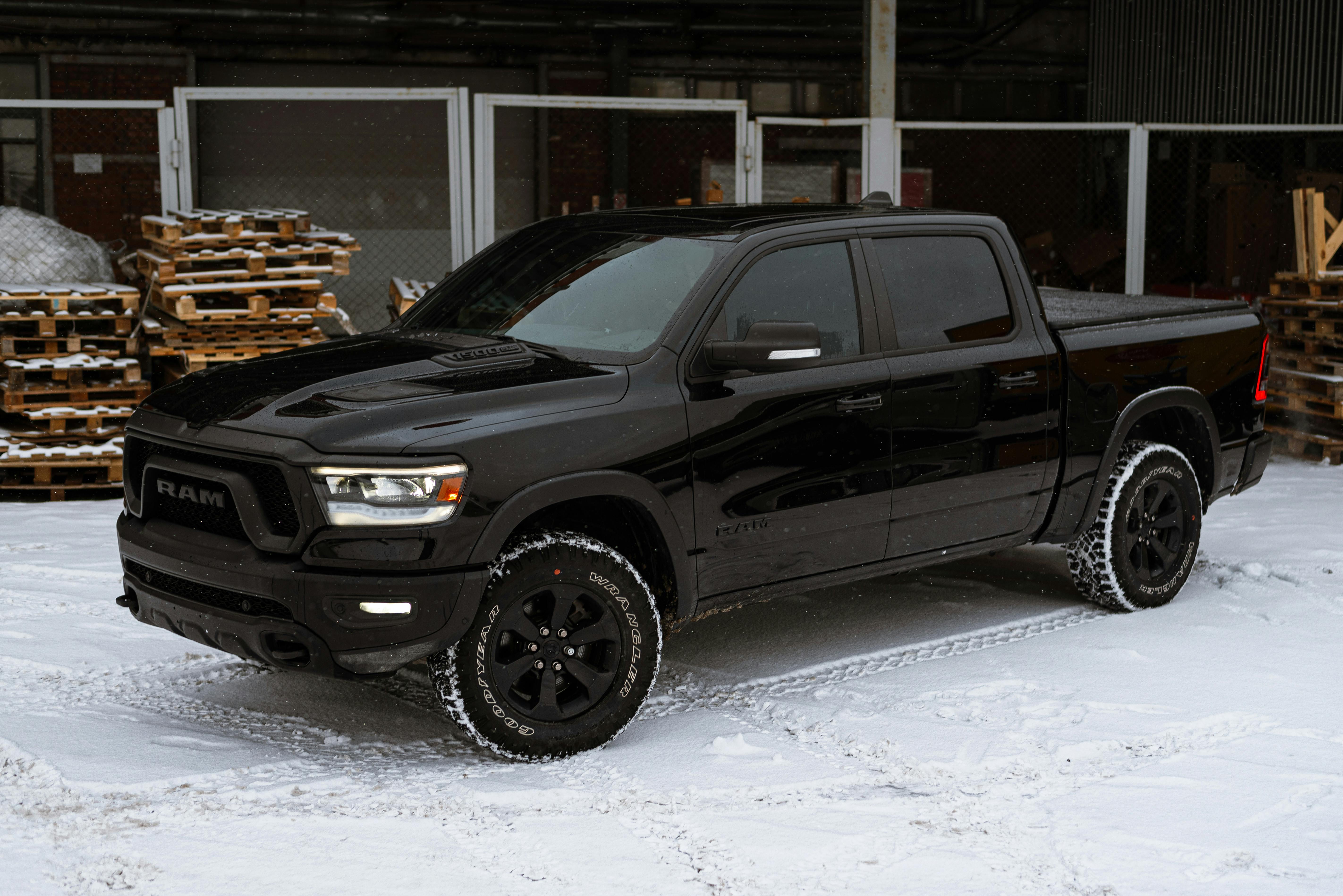 Ram Black Photos, Download The BEST Free Ram Black Stock Photos & HD Images