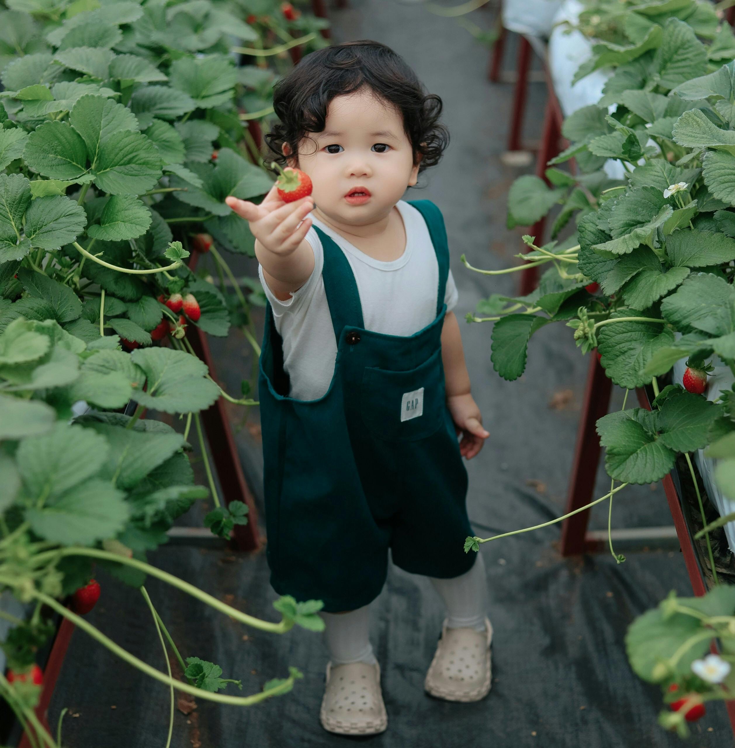 Child Growth Stage Photos, Download The BEST Free Child Growth Stage ...