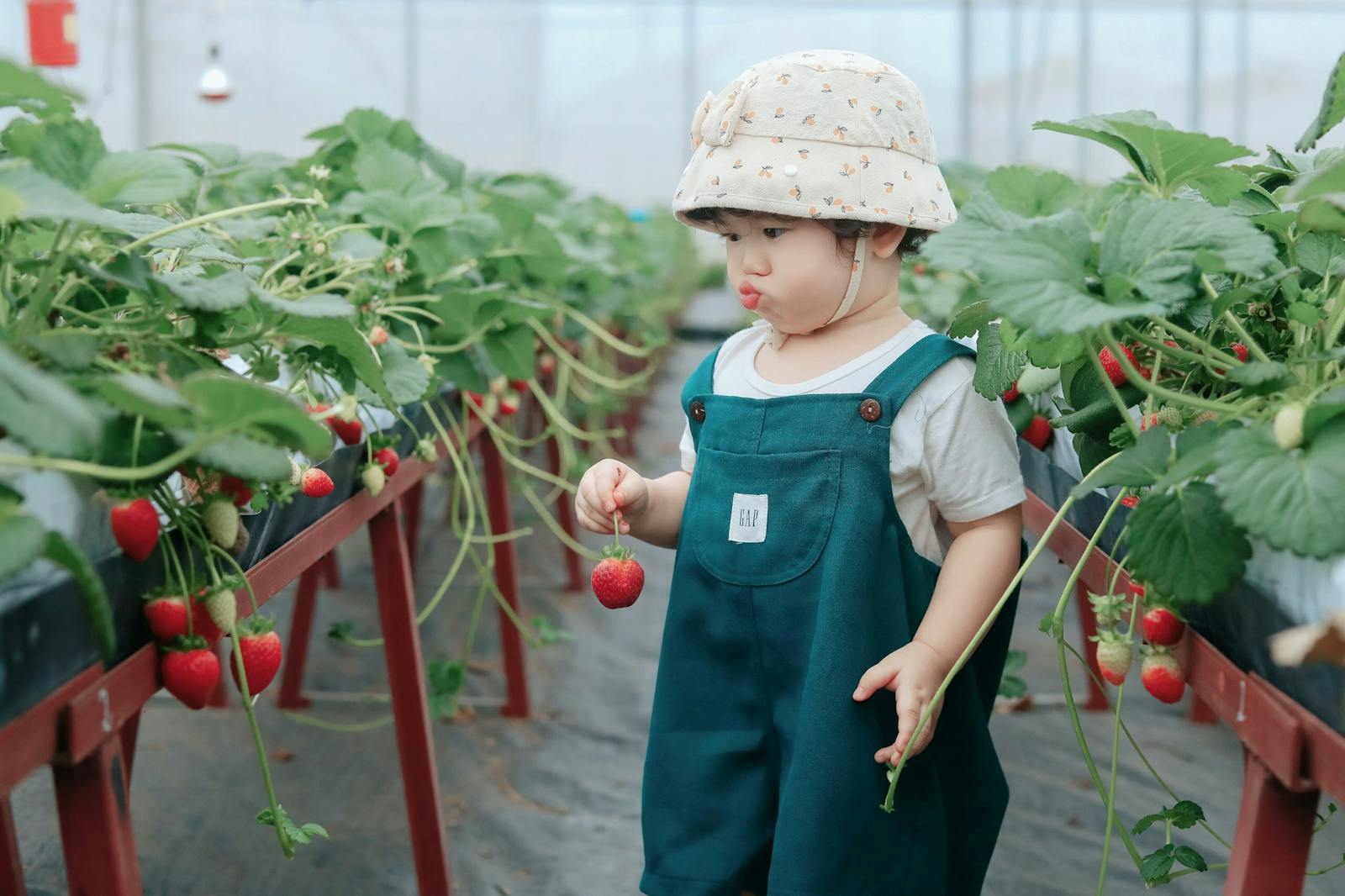 Child Growth Stage Photos, Download The BEST Free Child Growth Stage ...