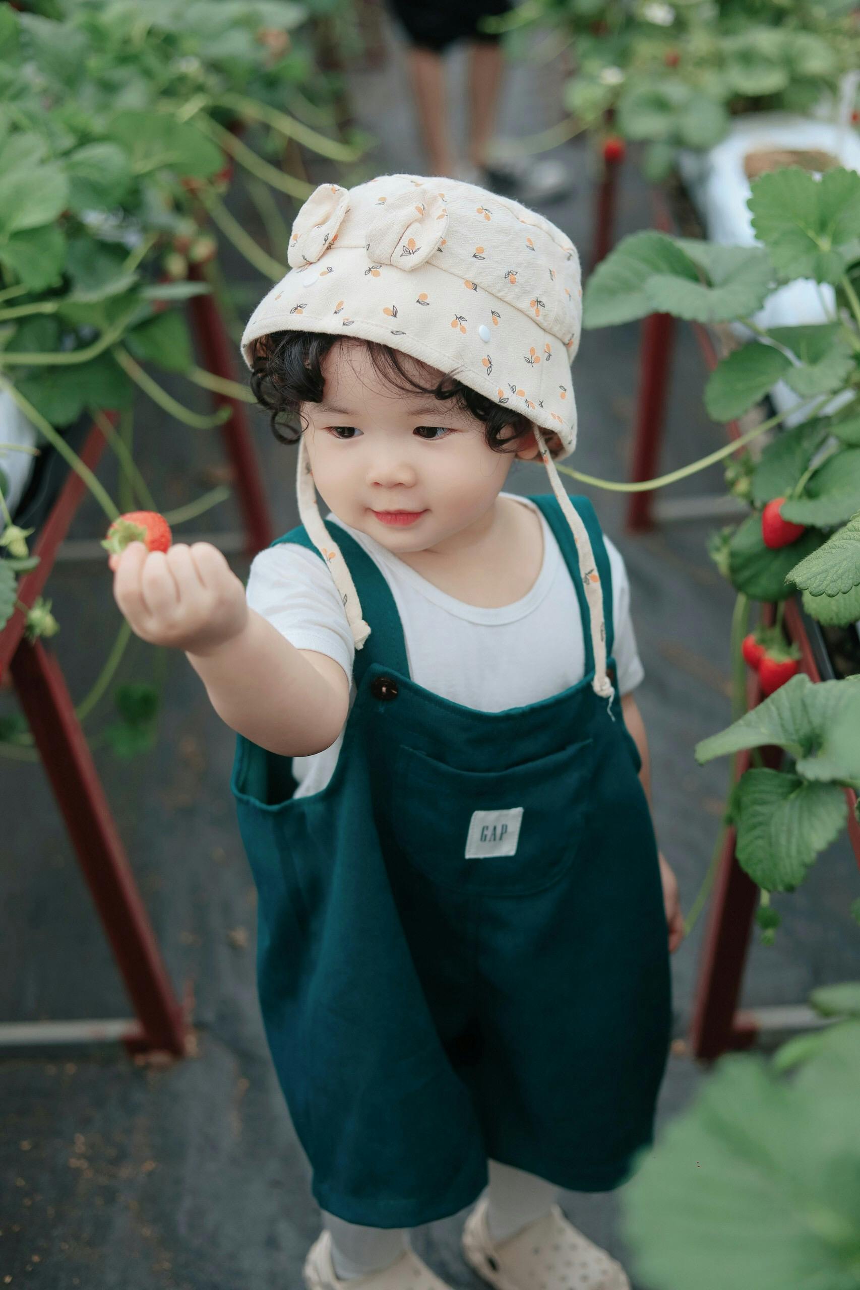 Child Growth Stage Photos, Download The BEST Free Child Growth Stage ...