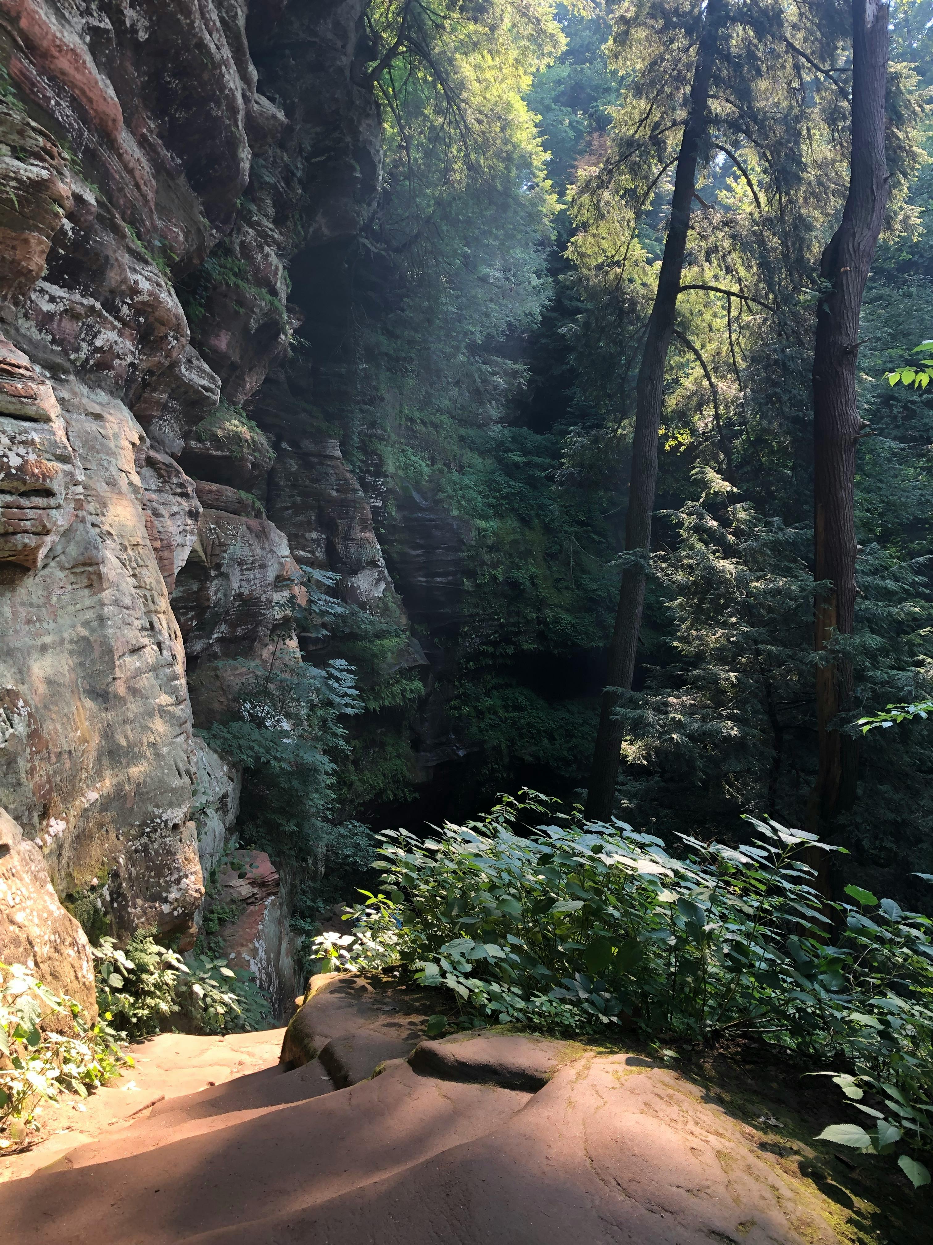 Isaac Sarver - Photography