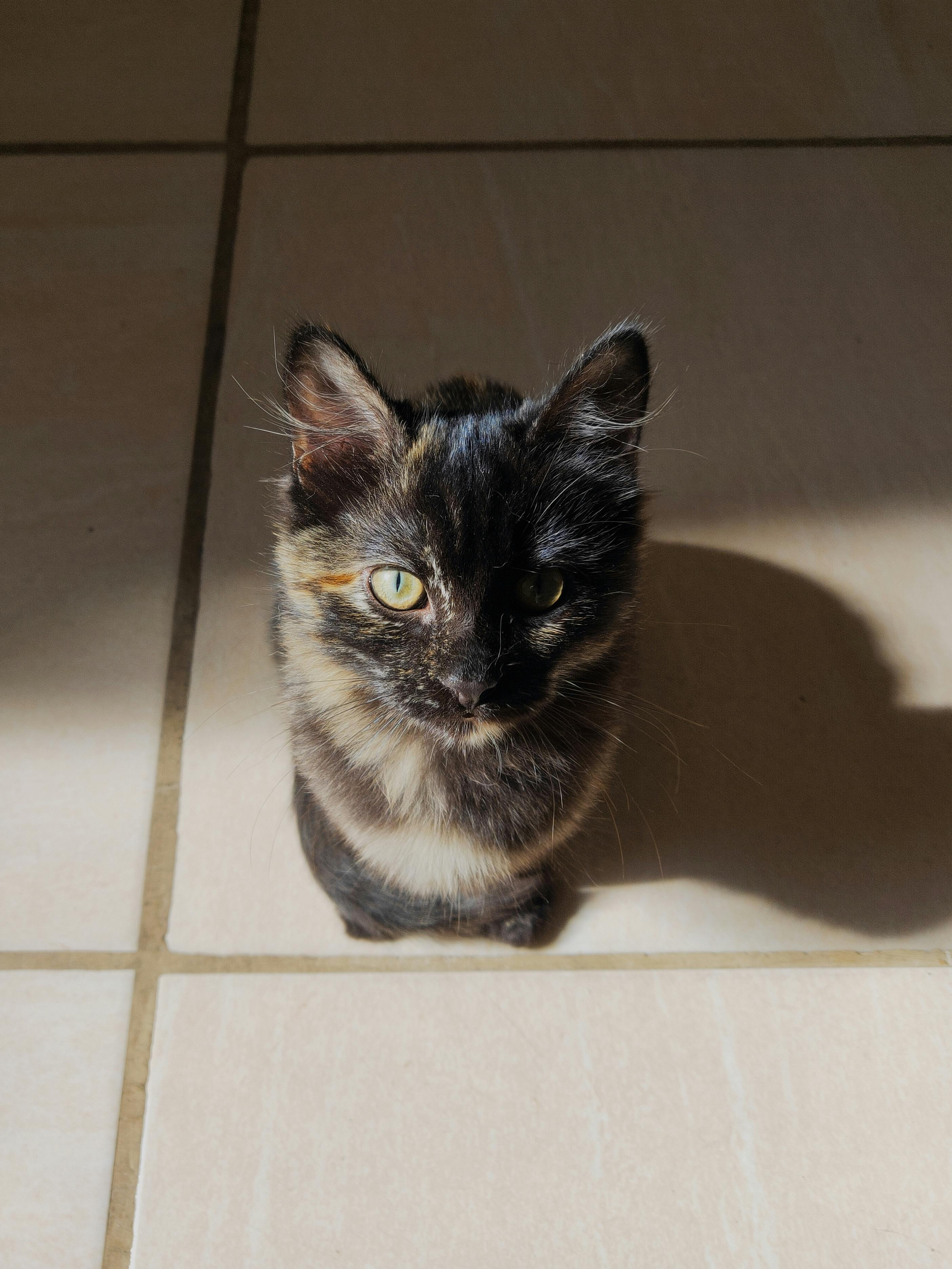 Daniel Bertoli – Fotografie