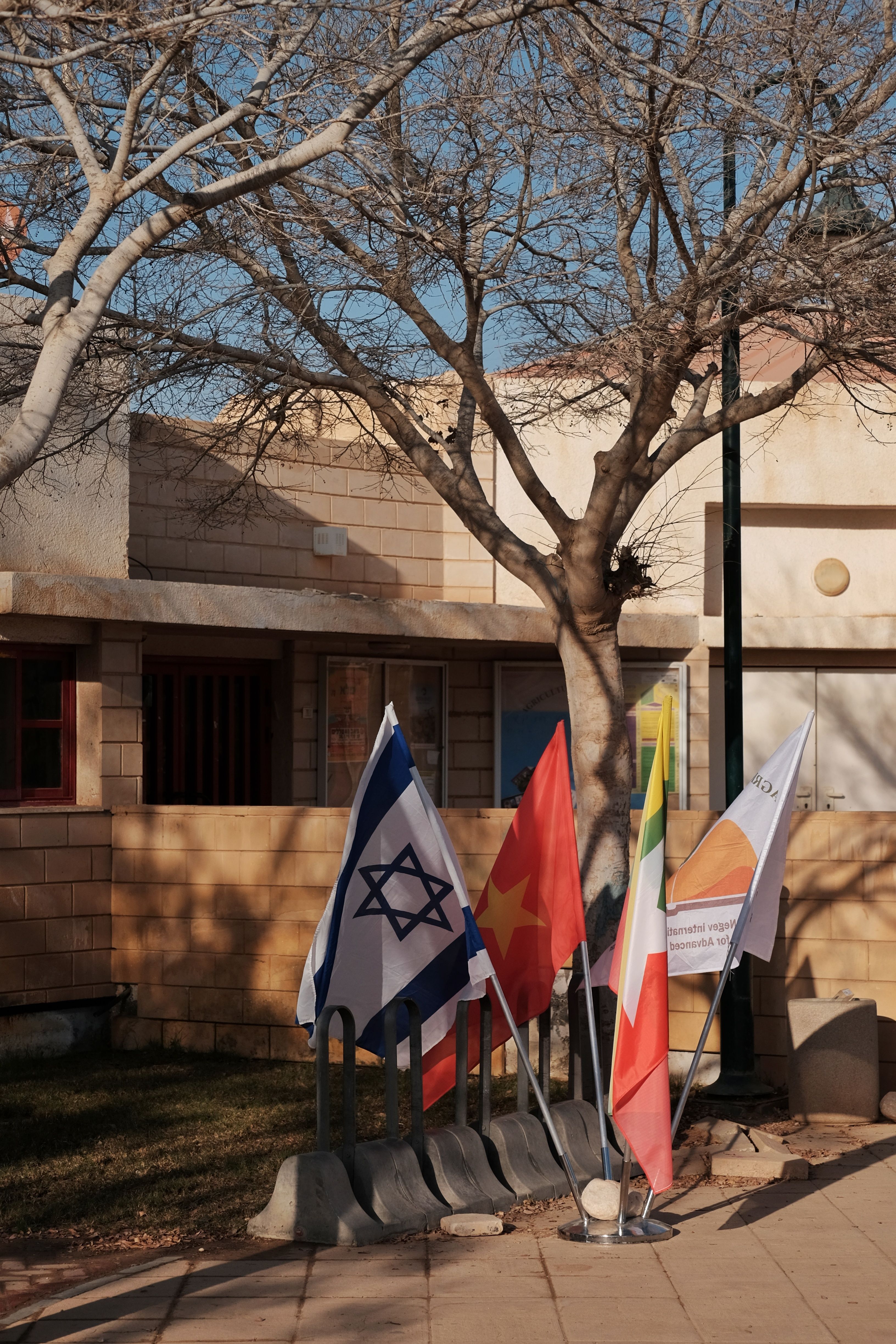 A group of flags and a building in the background · Free Stock Photo