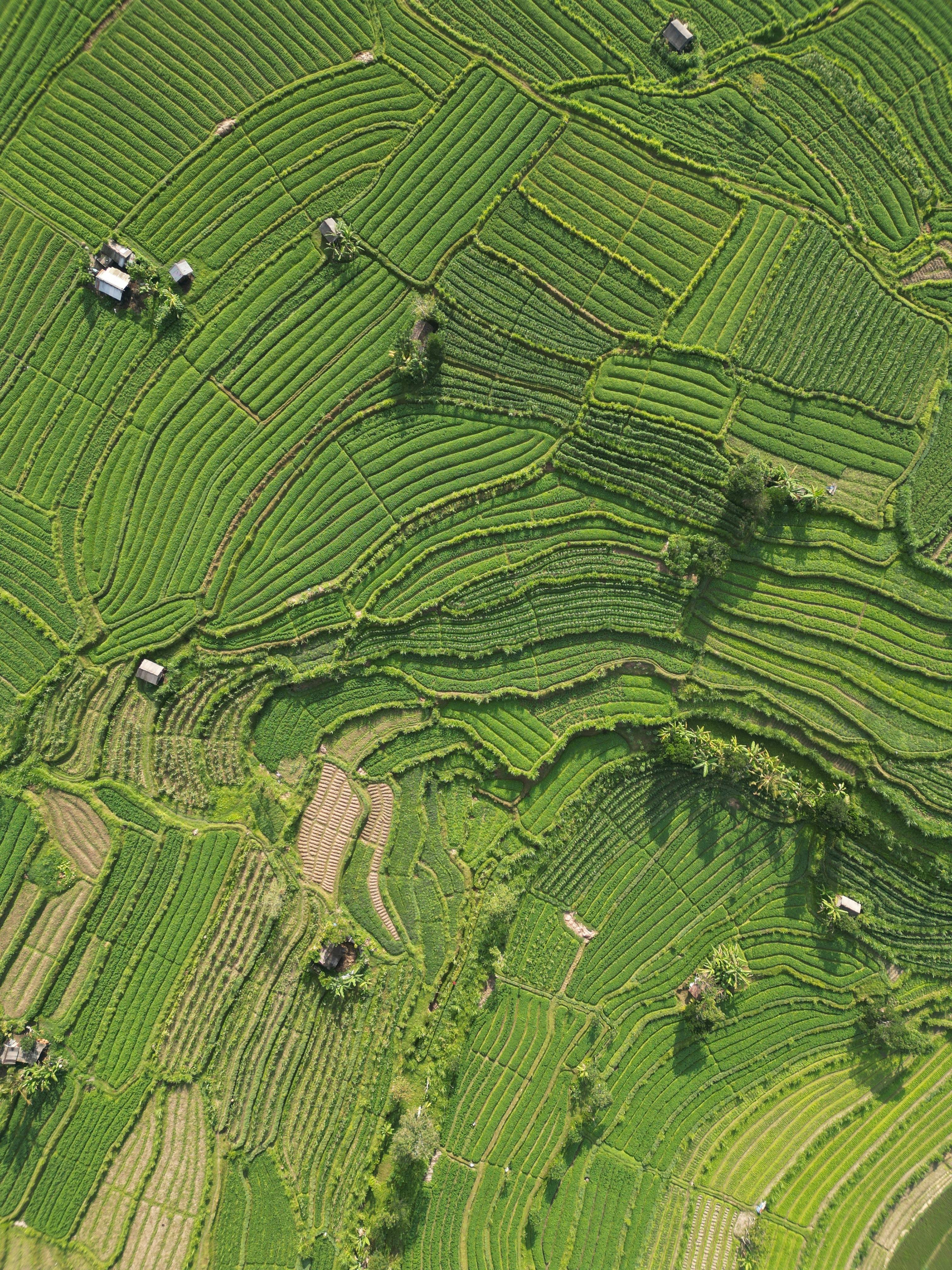 Aerial view of rice terraces in the philippines · Free Stock Photo