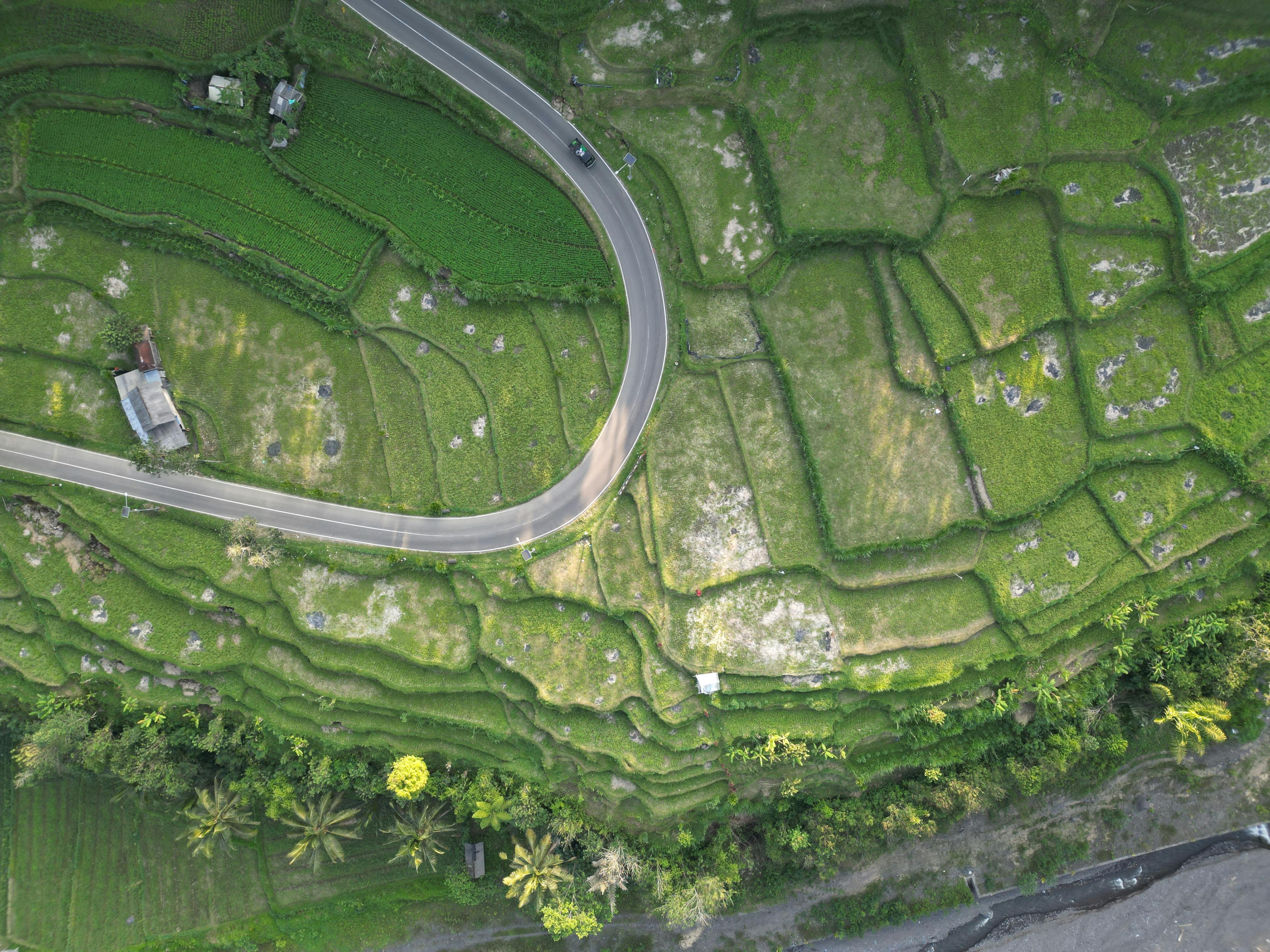 Aerial view of a road and rice terraces · Free Stock Photo